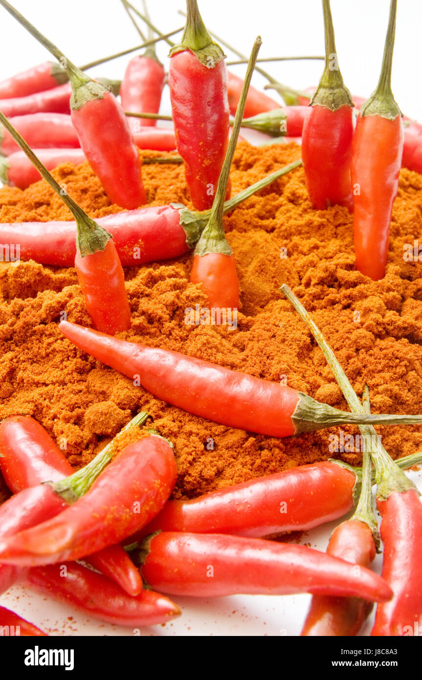 pepper, spicy, ingredient, food, aliment, pepper, isolated, heat, taste ...