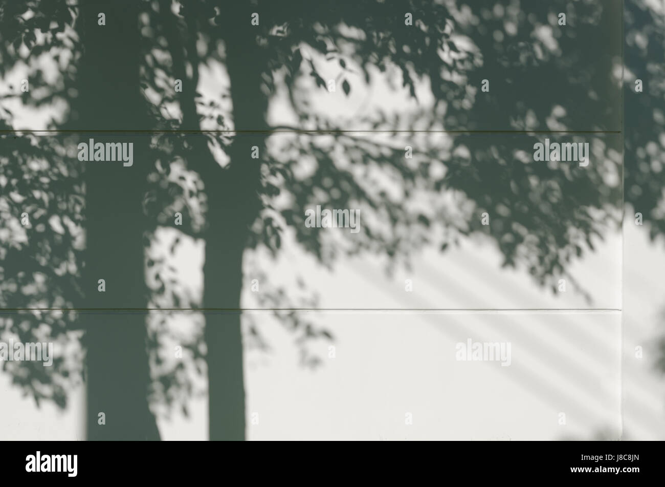 Projected on wall hi-res stock photography and images - Alamy