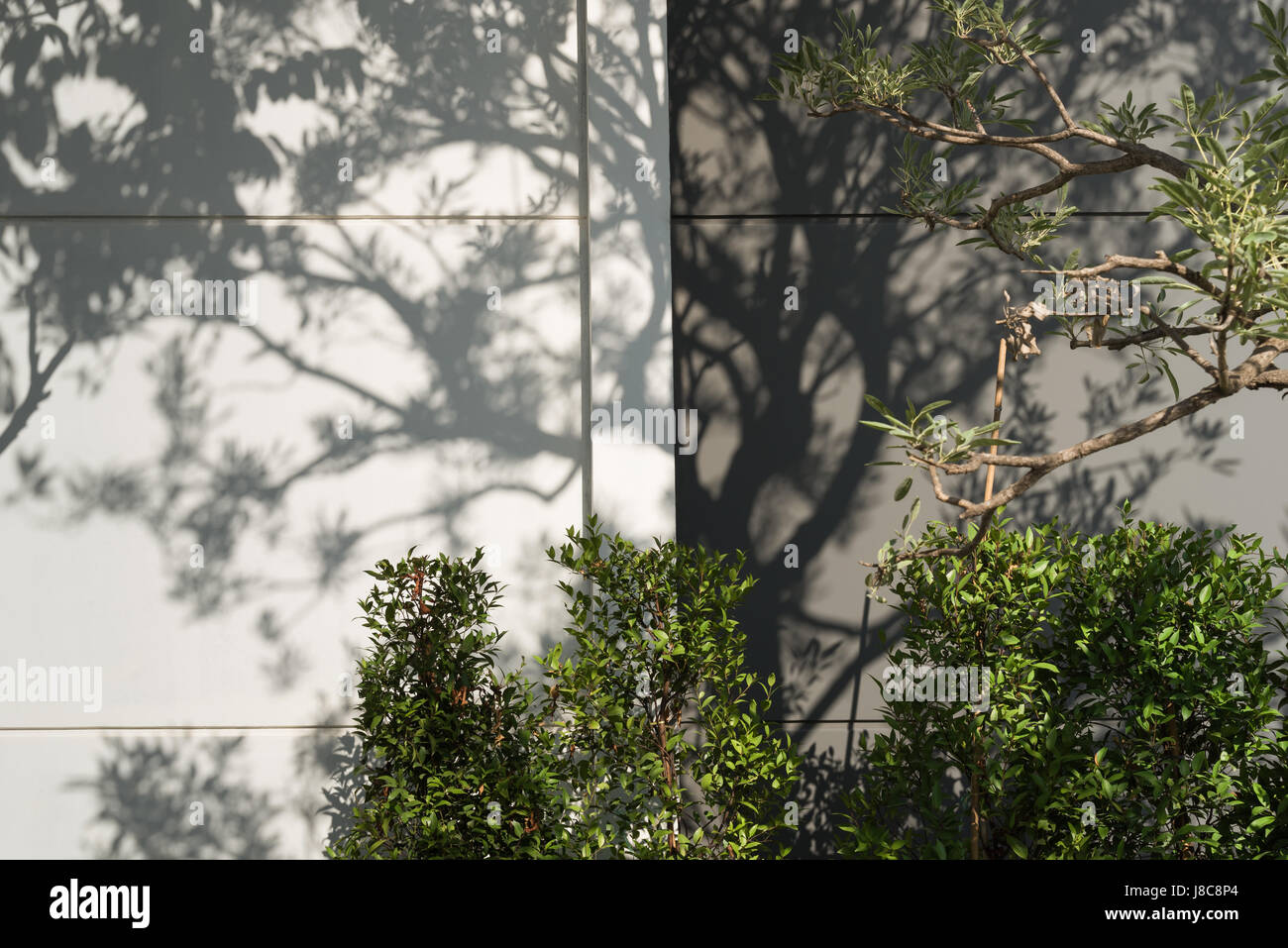 Projected onto building hi-res stock photography and images - Alamy