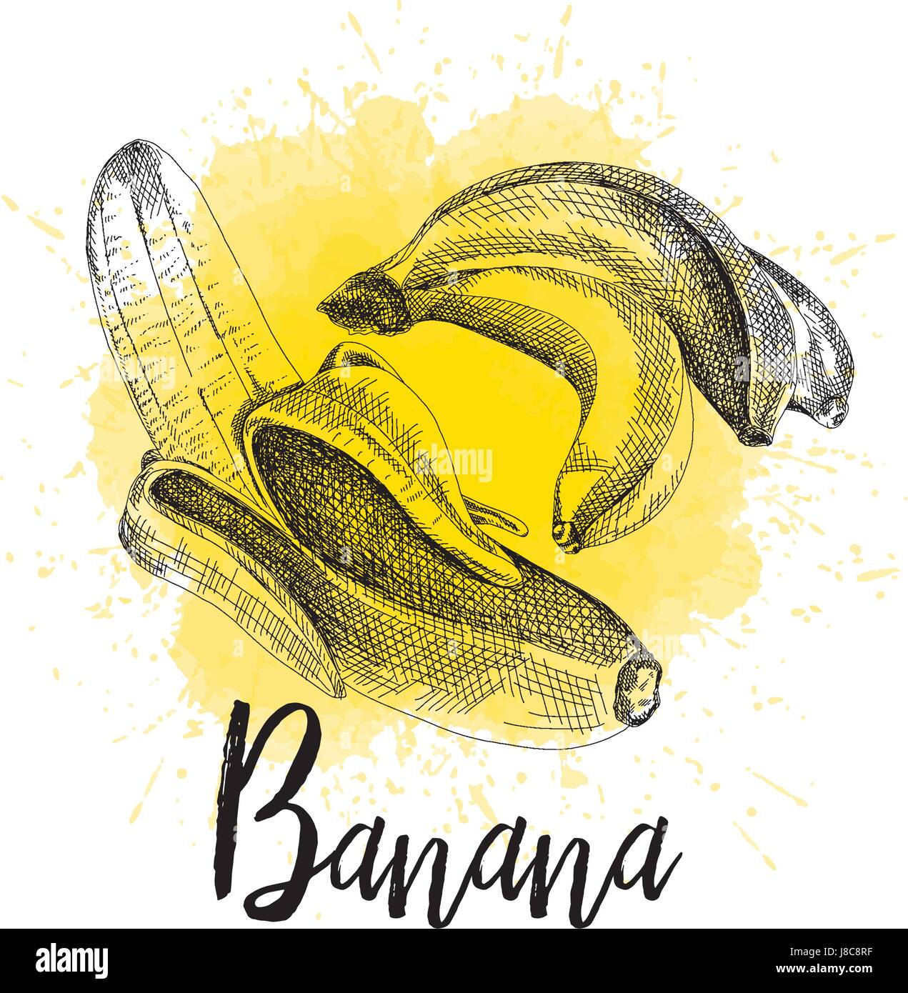 Vector illustration of a banana Stock Vector Image & Art - Alamy