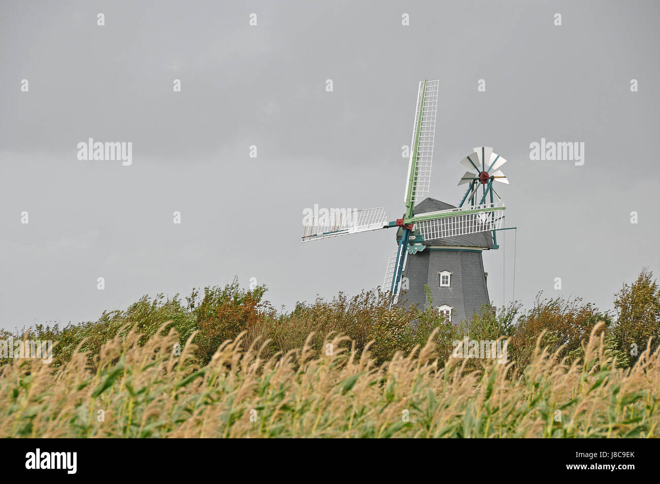wing, windmill, mill, Northern Germany, field, wing, frisia, windmill ...