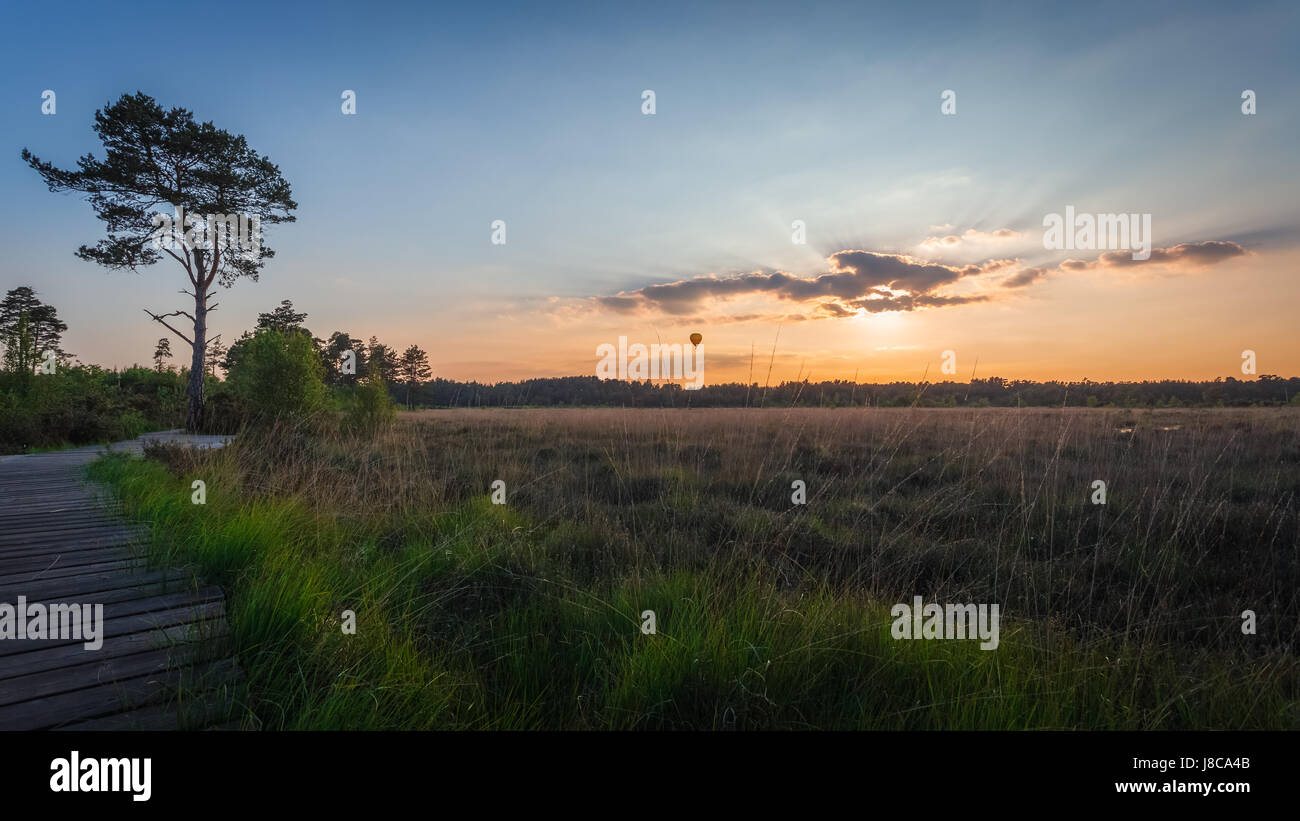 Thursley National Nature Reserve Stock Photo - Alamy