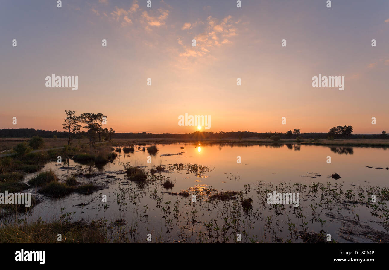 Thursley National Nature Reserve Stock Photo - Alamy