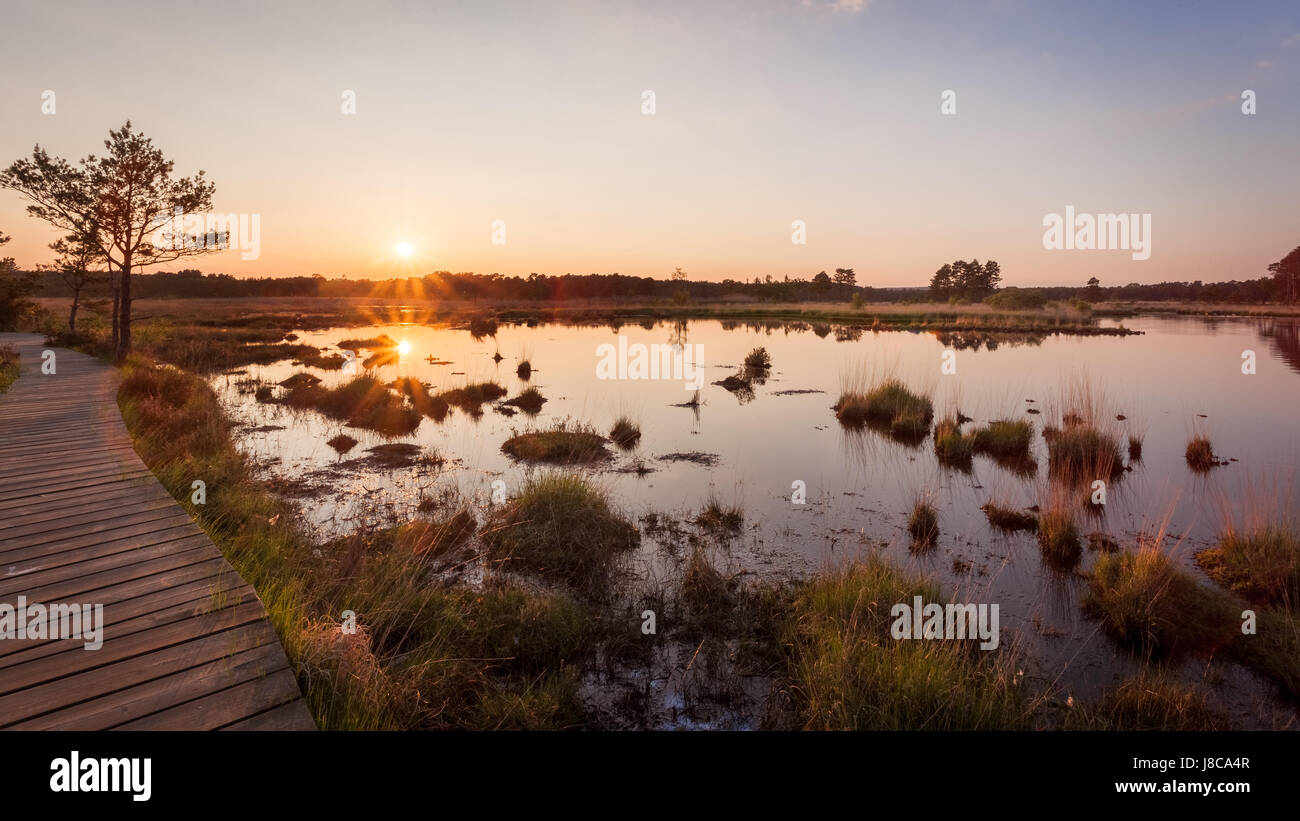 Thursley National Nature Reserve Stock Photo - Alamy
