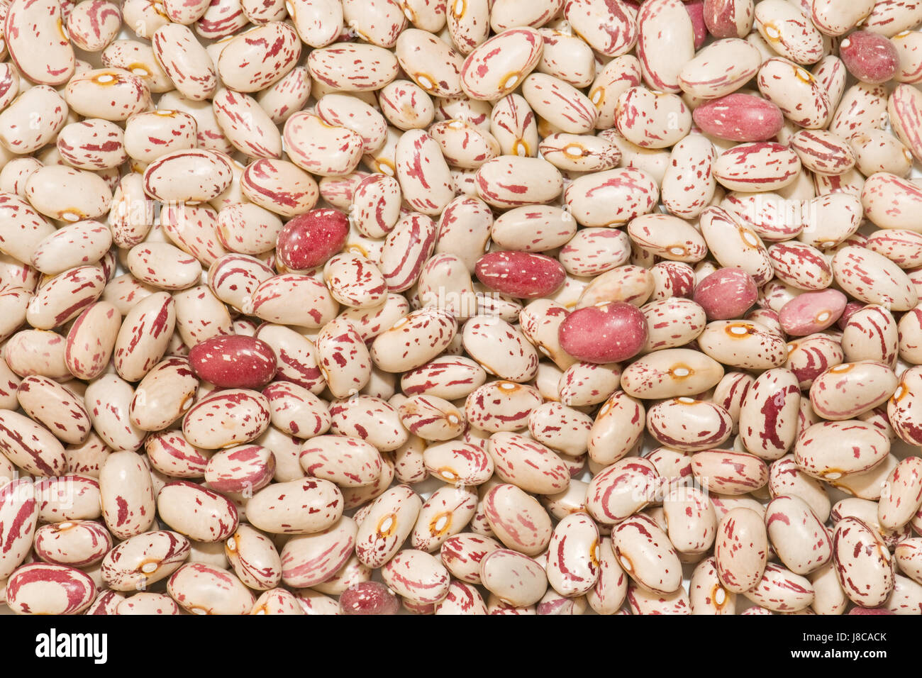 beans, emblements, seeds, legumes, bean, food, aliment, health ...
