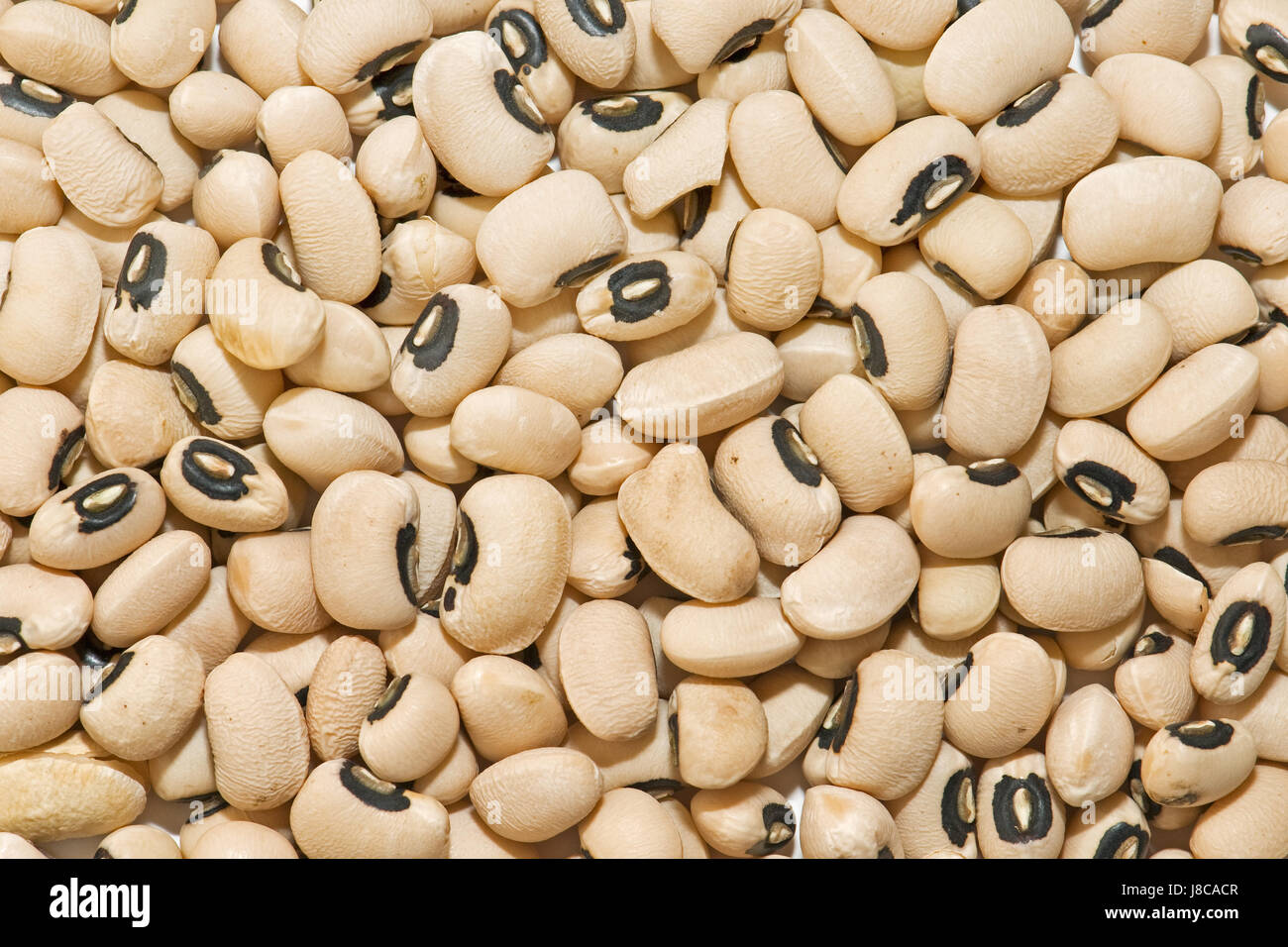 beans, emblements, seeds, legumes, bean, food, aliment, health ...