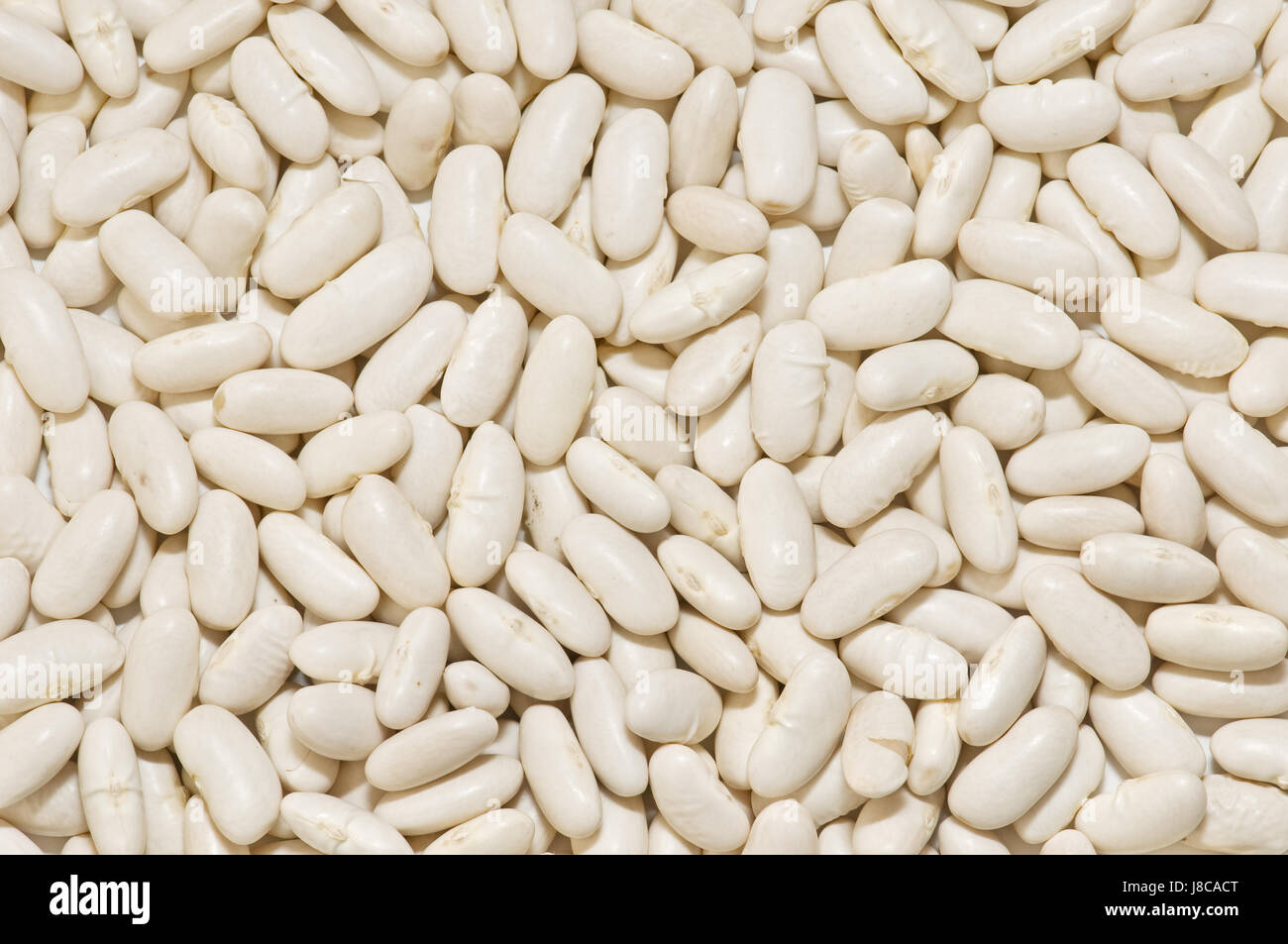 beans, emblements, seeds, legumes, bean, food, aliment, health ...