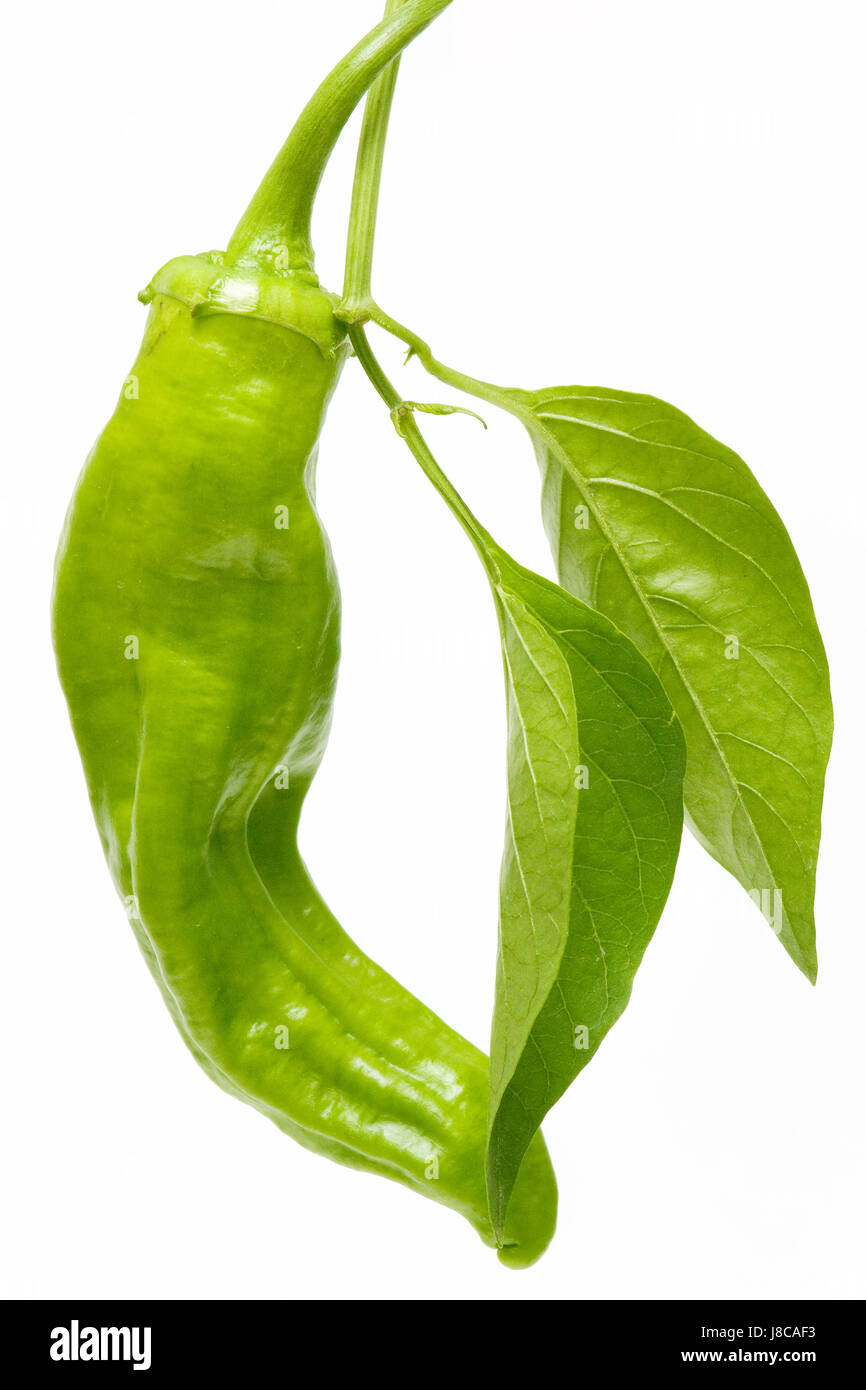 agriculture, farming, hot, spicy, paprika, peppers, vegetables, lawn ...
