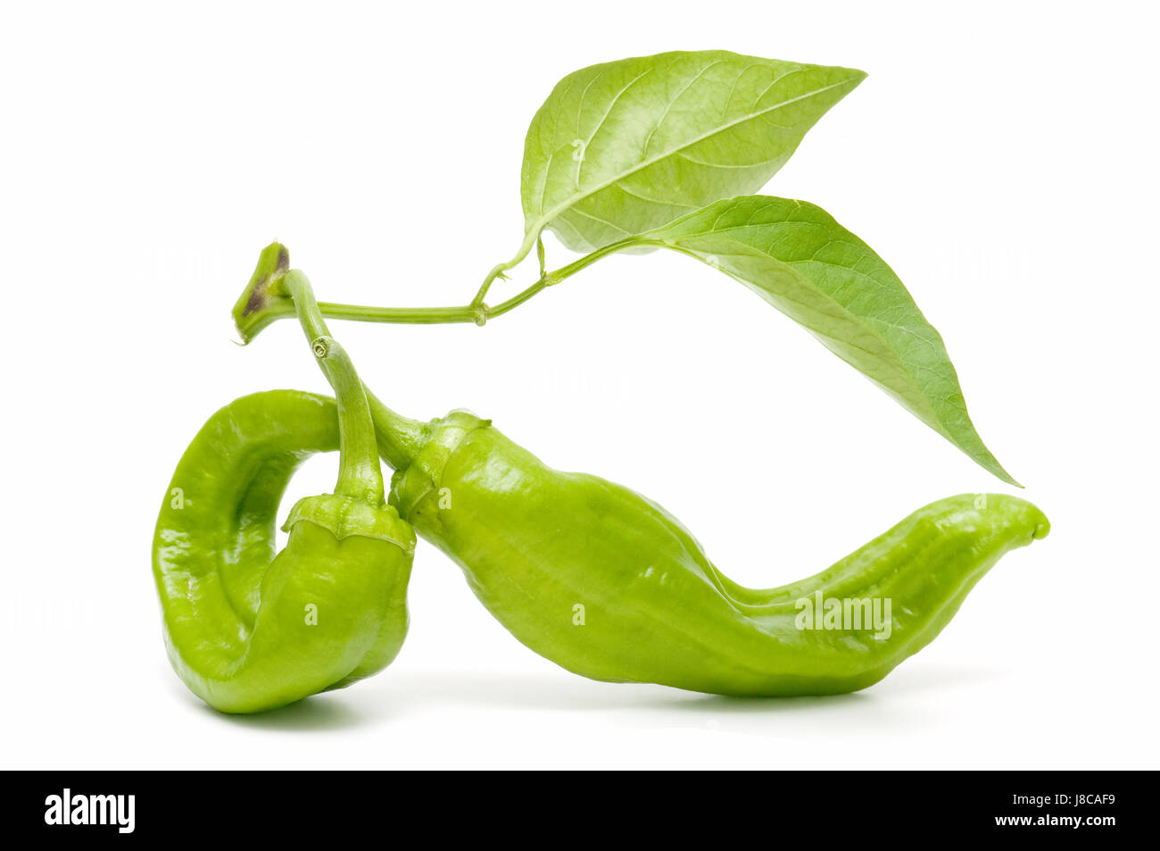 agriculture, farming, hot, spicy, paprika, peppers, vegetables, lawn ...