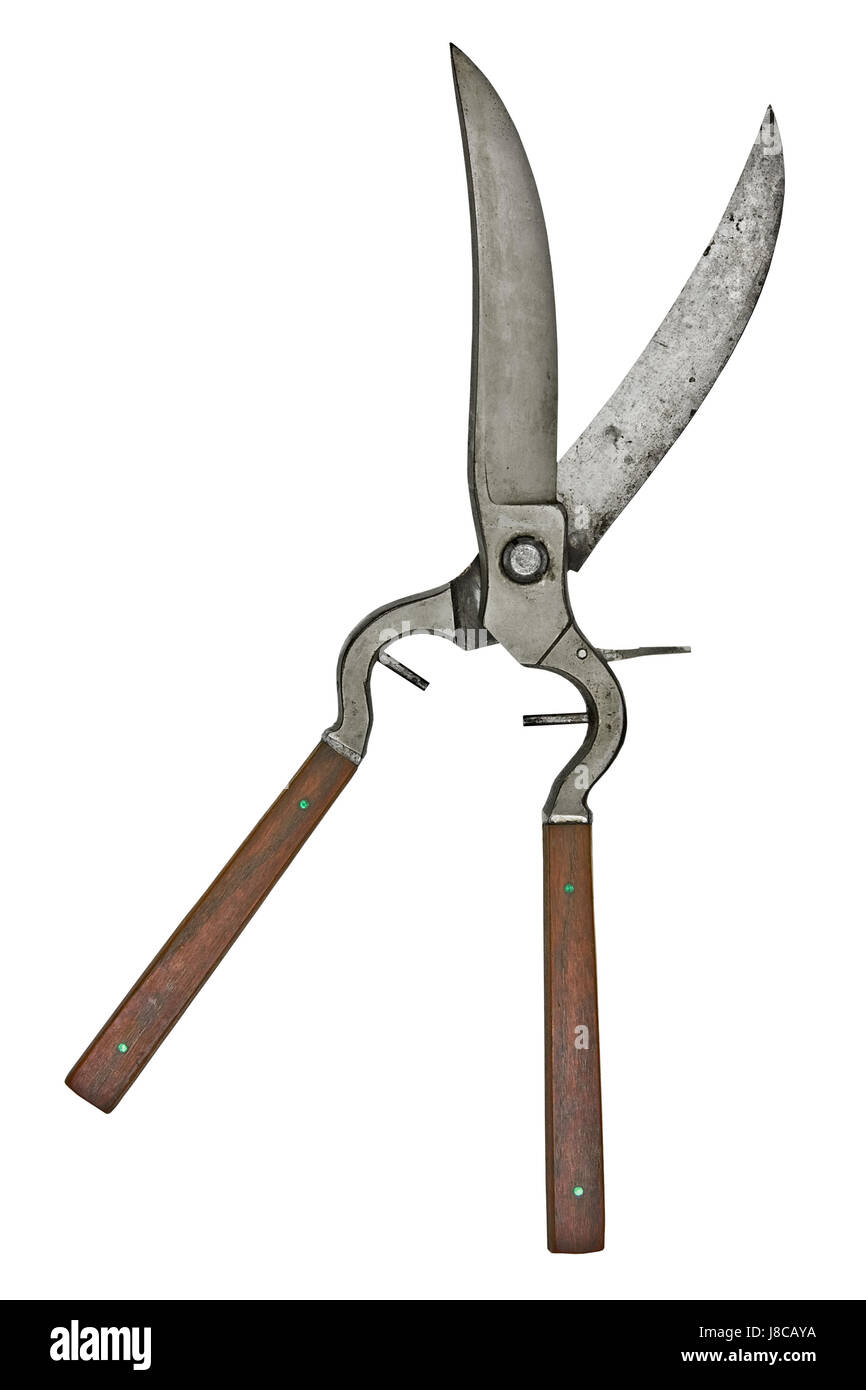 vintage, poultry, scissors, scissor, used, retro, old, tool, isolated ...