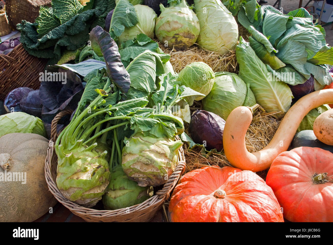vegetable, pumpkin, cabbage, herb, harvest festival, harvest, salad ...