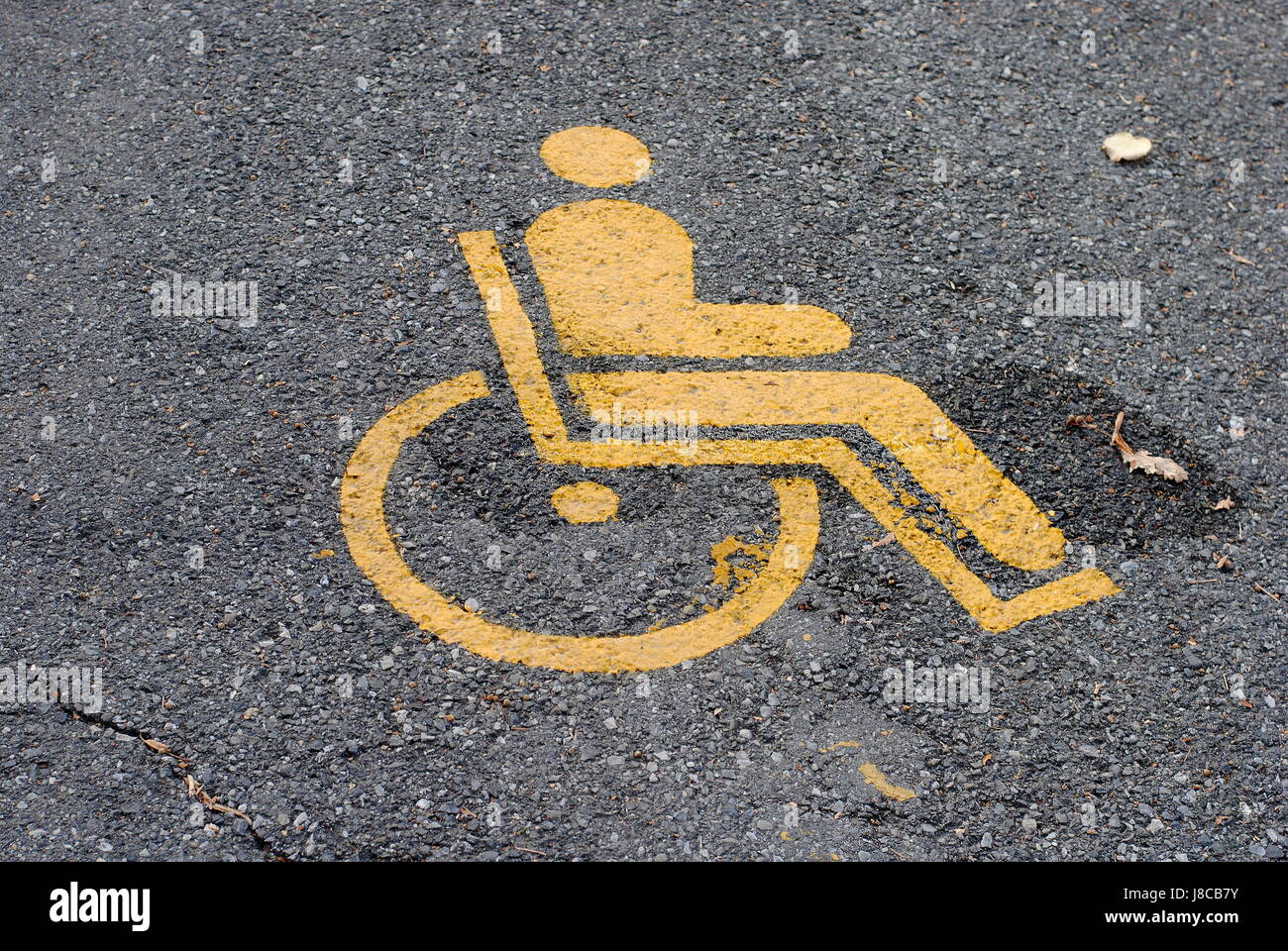 asphalt, road, path, way, street, wheelchair, city, town, park, asphalt ...