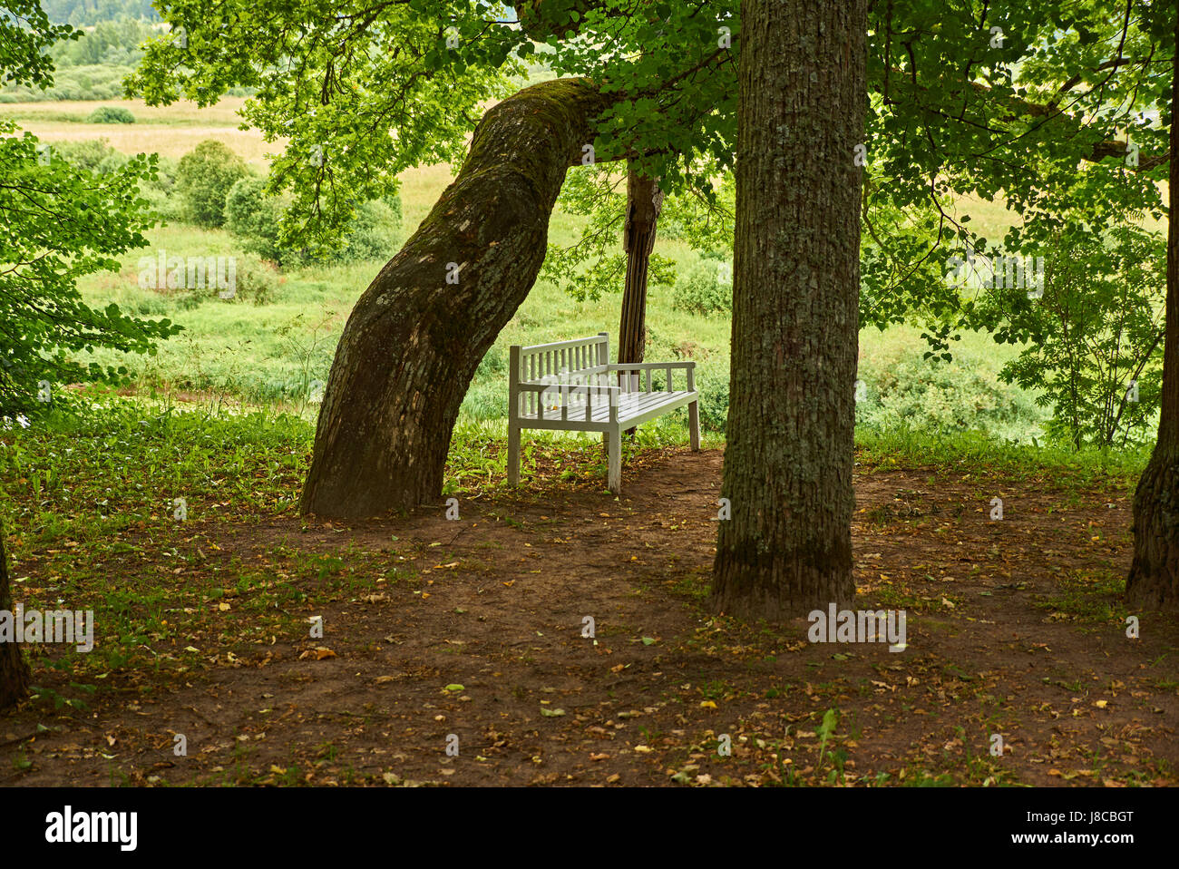 A white bench stands in the shade under the trees. Pushkin liked to sit ...