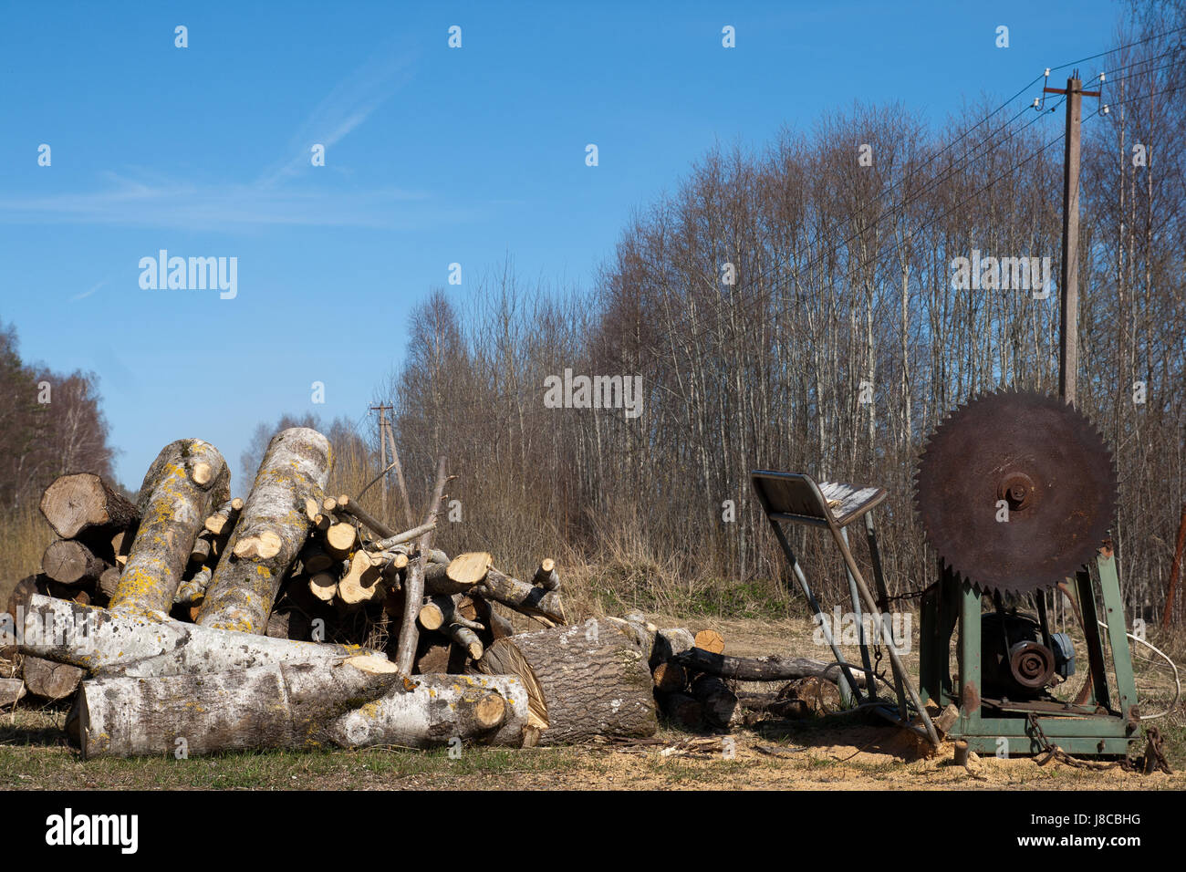 tool, workshop, industrial, wood, metal, rusty, tooth, wise, attentive ...