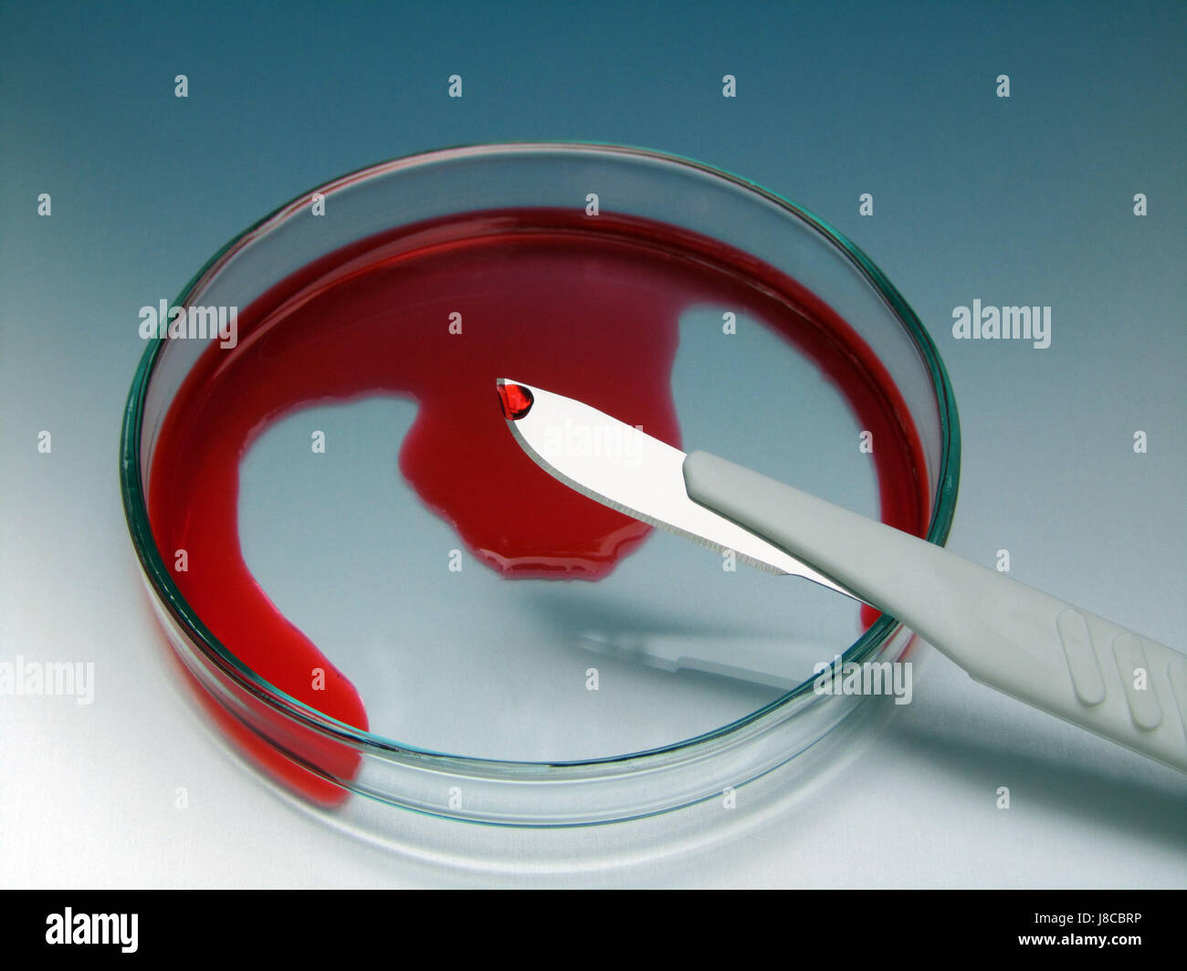 blood, bowl, scalpel, bloodstain, blood test, arm, weapon, knive, knife ...