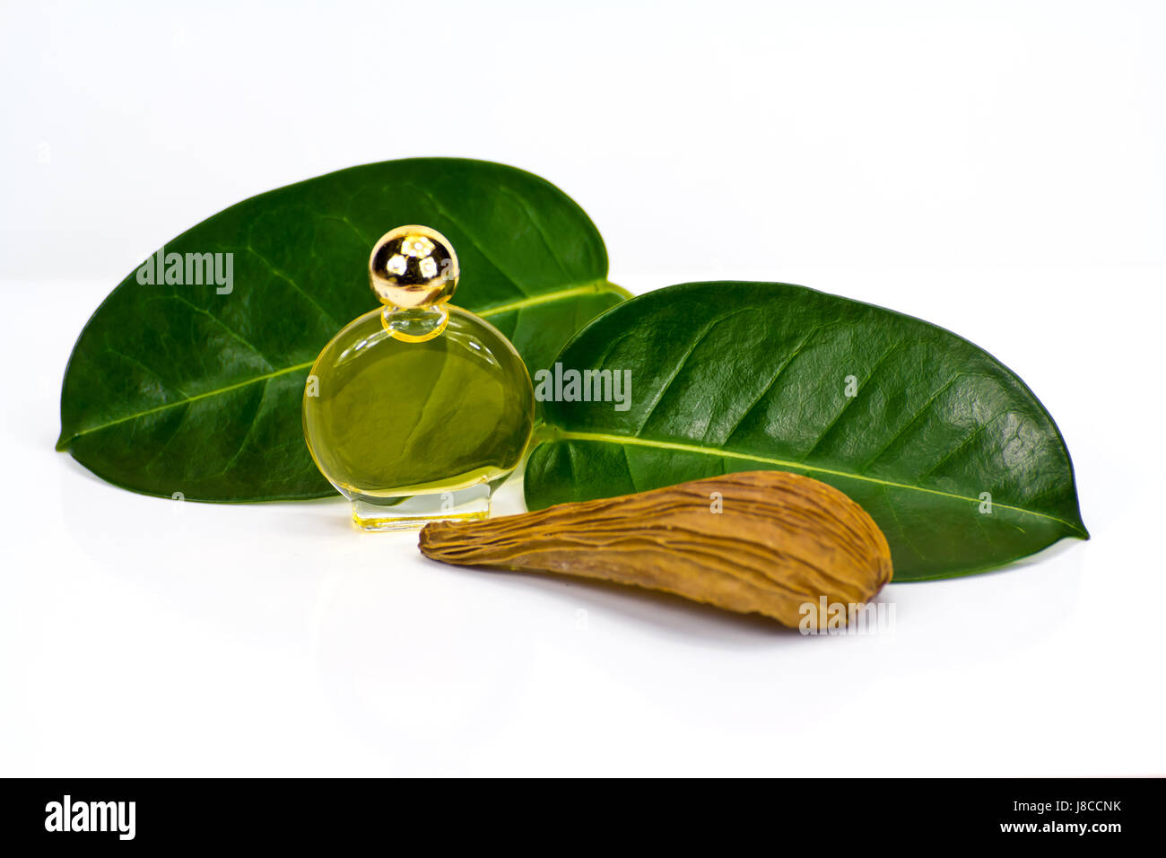 cologne, decoration, perfume, decorative, fragrance, cosmetic, woman ...