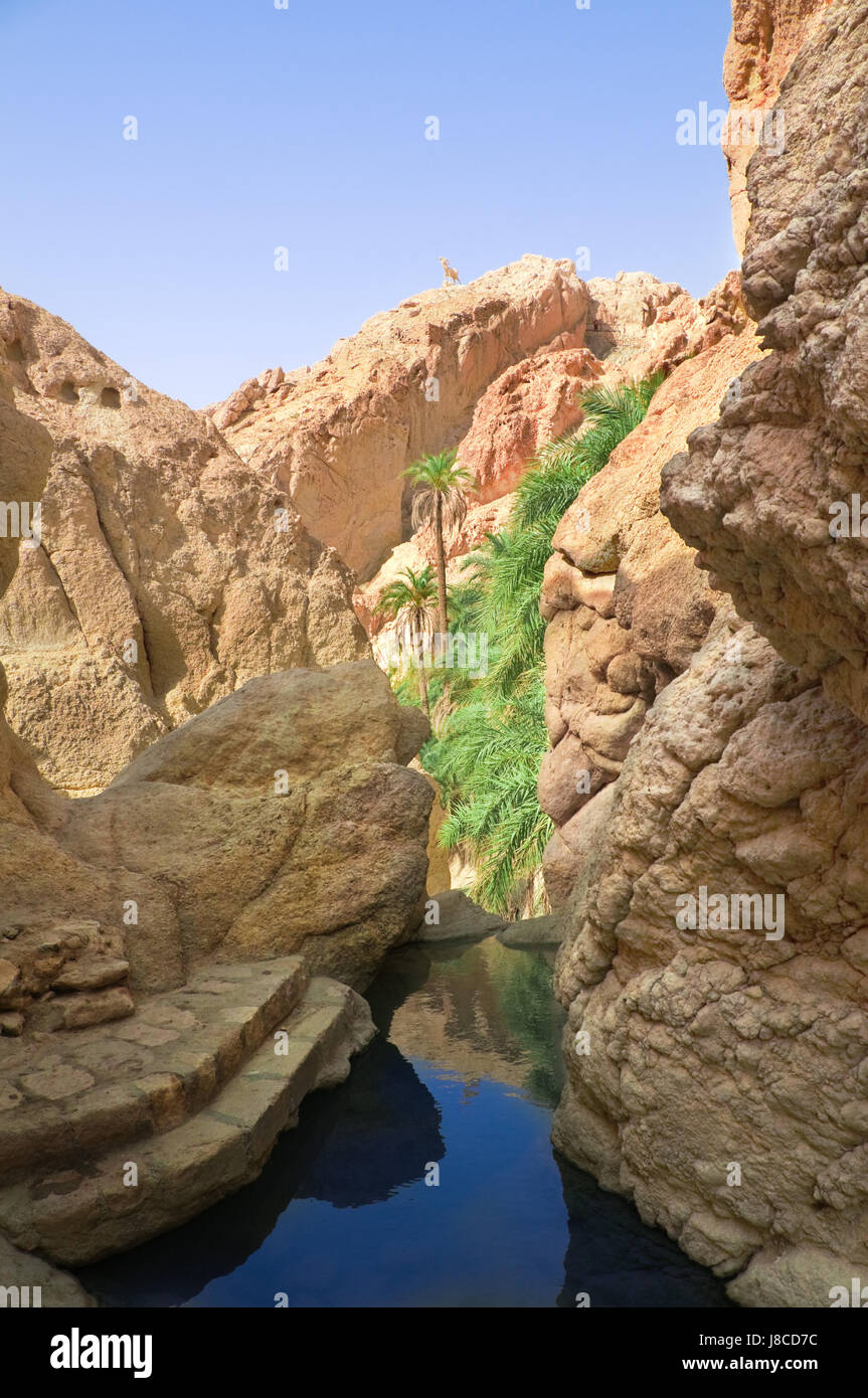 liquid, africa, rock, oasis, tunisia, watercourse, Canyon, cliff, eroded Stock Photo - Alamy