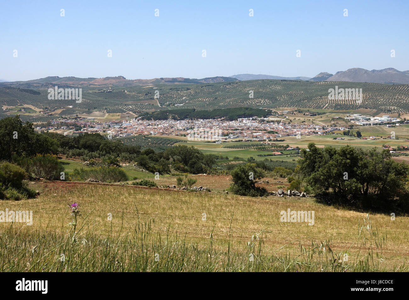 Trabuco hi-res stock photography and images - Alamy