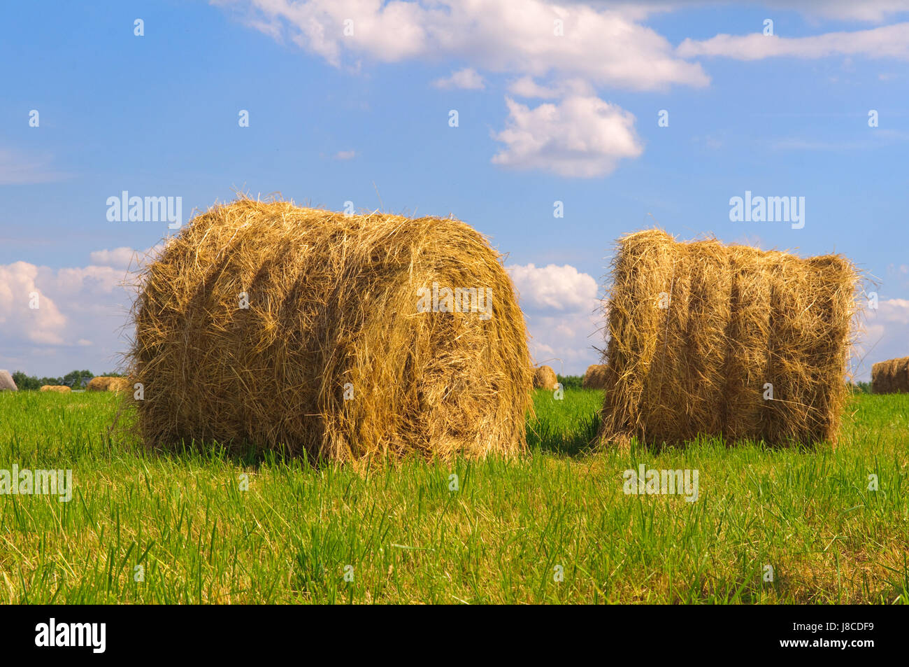 blue, agricultural, environment, enviroment, agriculture, farming ...