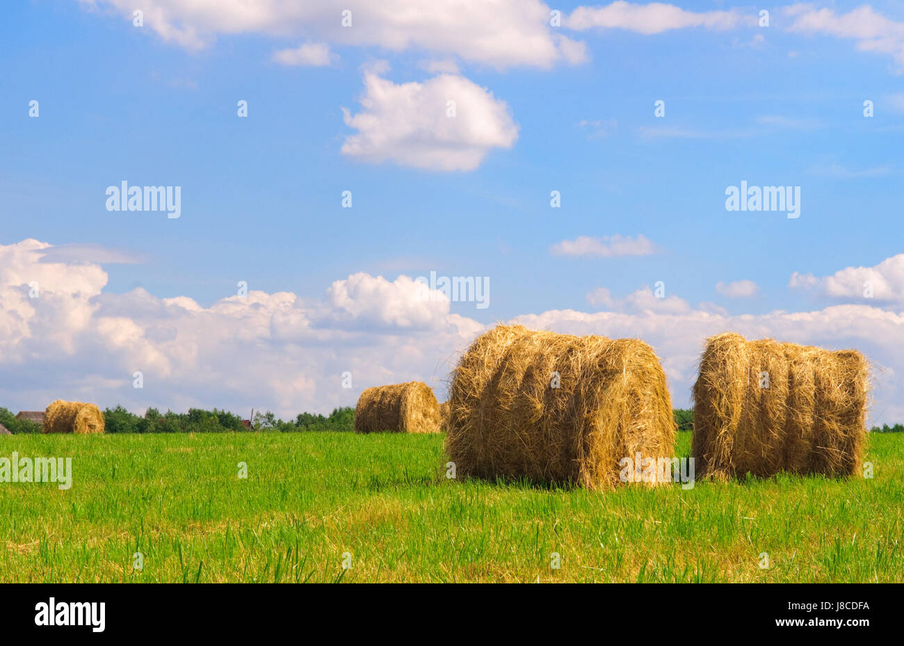 blue, agricultural, environment, enviroment, agriculture, farming ...