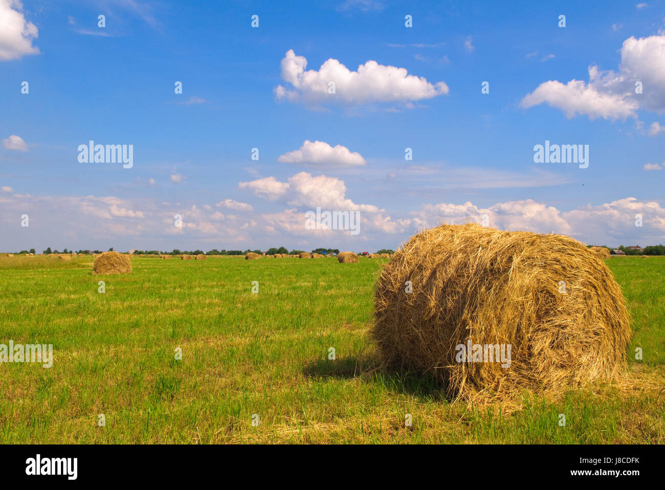 blue, agricultural, environment, enviroment, agriculture, farming ...
