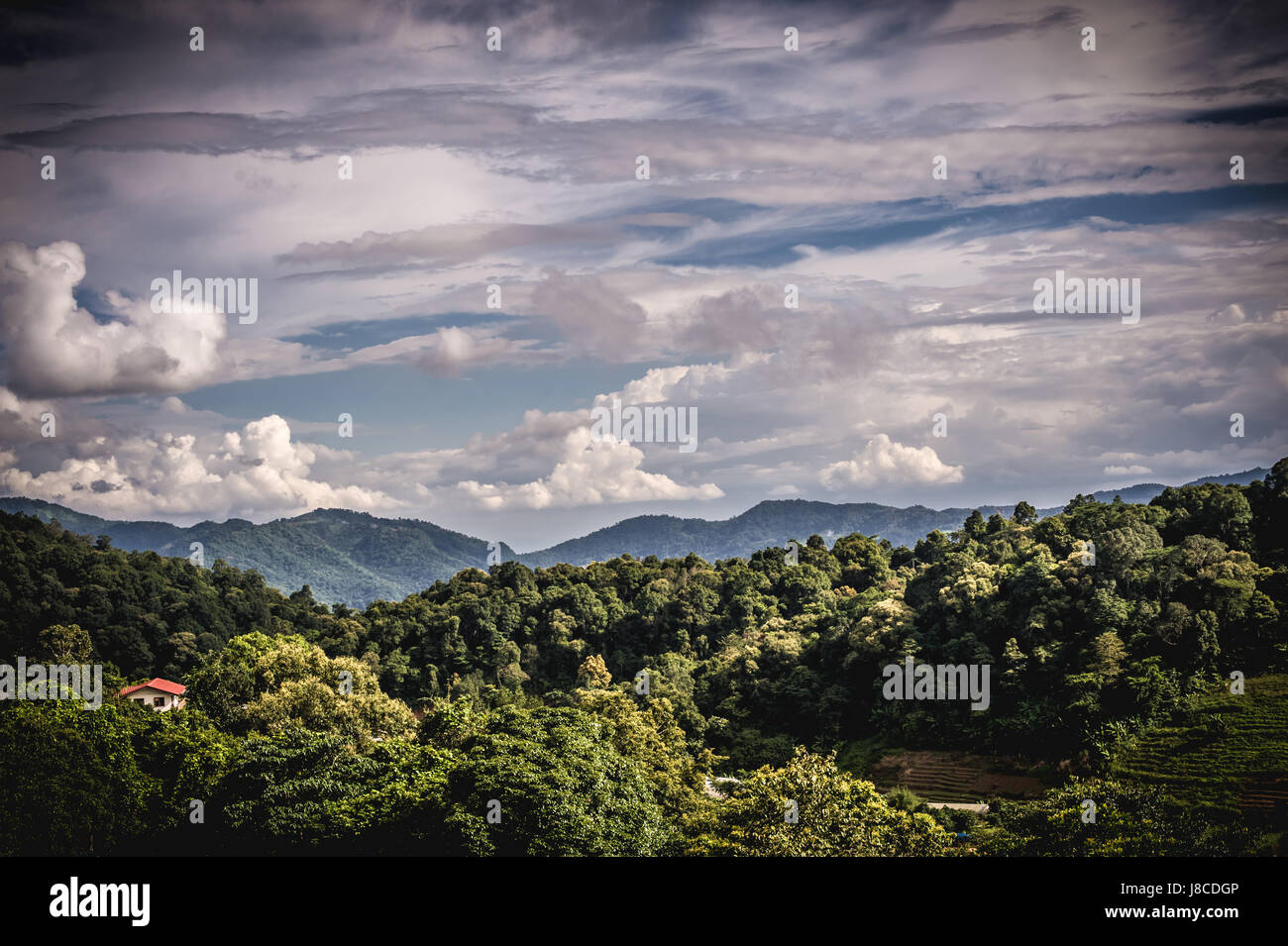 Beautiful natural in Mon Cham (Mon Jam) mountain, Mae Rim, famous ...