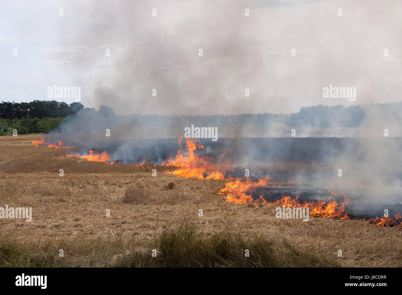 cornfield - fire Stock Photo - Alamy