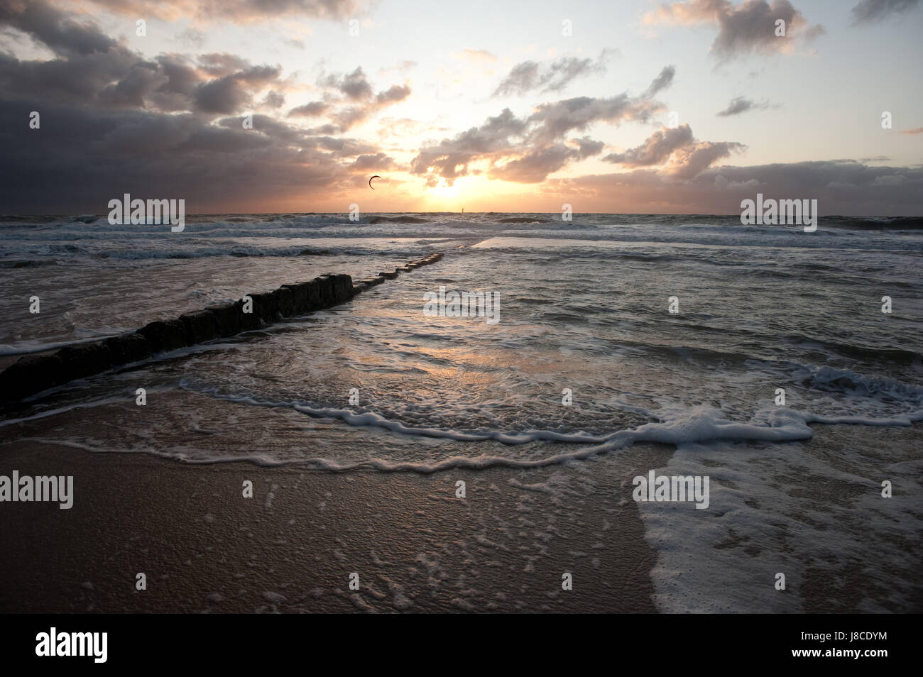 beach, seaside, the beach, seashore, water, north sea, salt water, sea ...