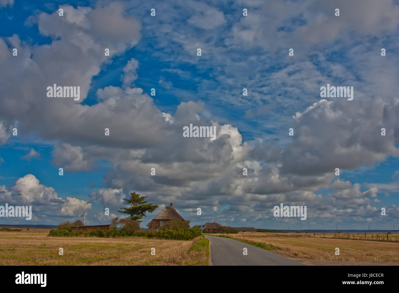 agriculture, farming, denmark, farm, denmark, fields, seasons, farm ...
