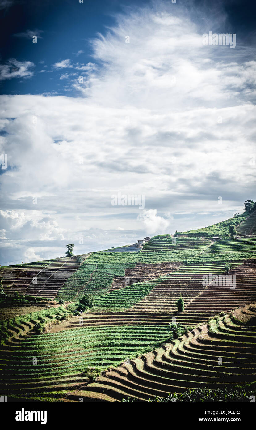 Beautiful natural in Mon Cham (Mon Jam) mountain, Mae Rim, famous ...
