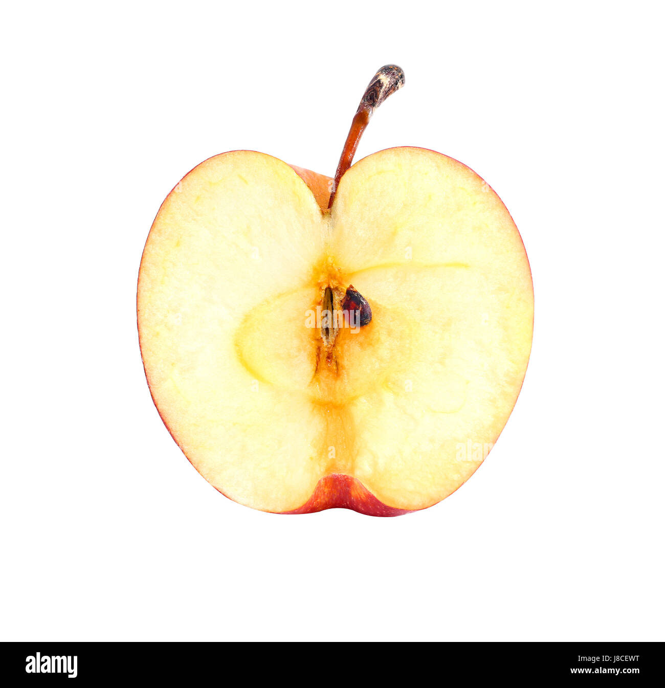 Delicious red Apple cut in half photographed closeup isolated on a ...