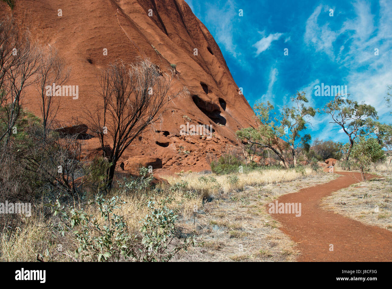 blue, australia, bush, australian, aboriginal, beauty, blue, travel ...