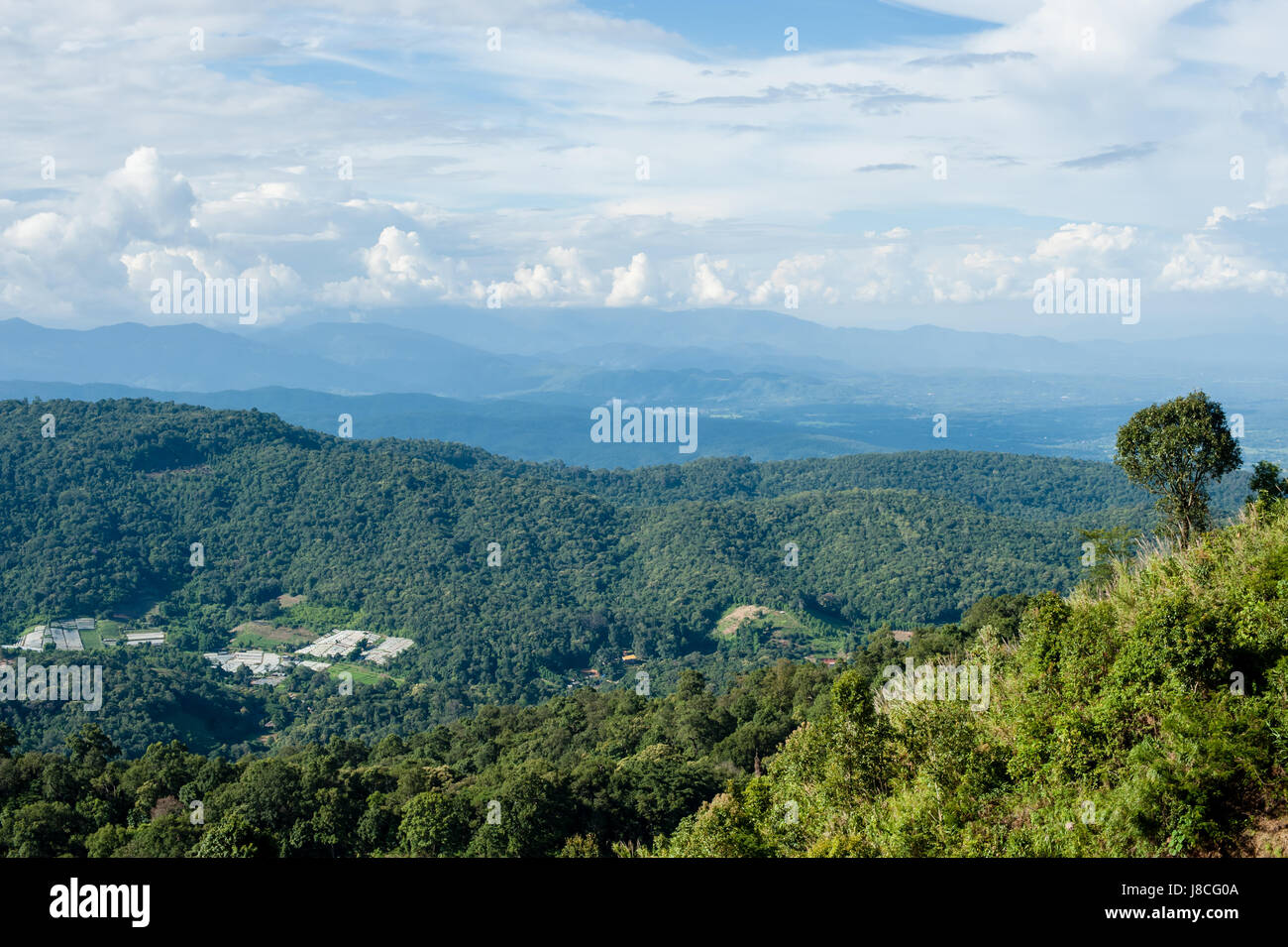 Beautiful natural in Mon Cham (Mon Jam) mountain, Mae Rim, famous ...