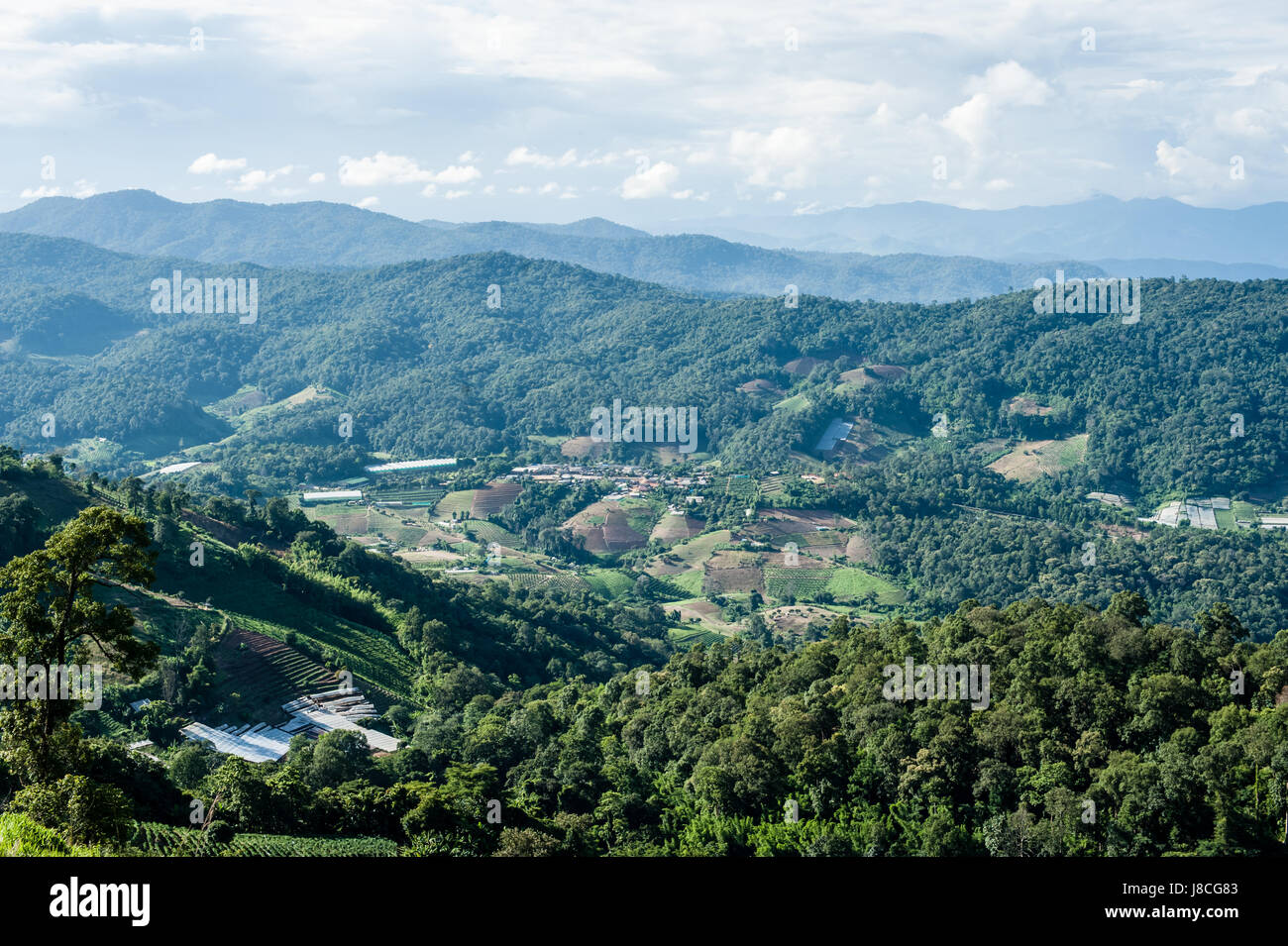 Beautiful natural in Mon Cham (Mon Jam) mountain, Mae Rim, famous ...