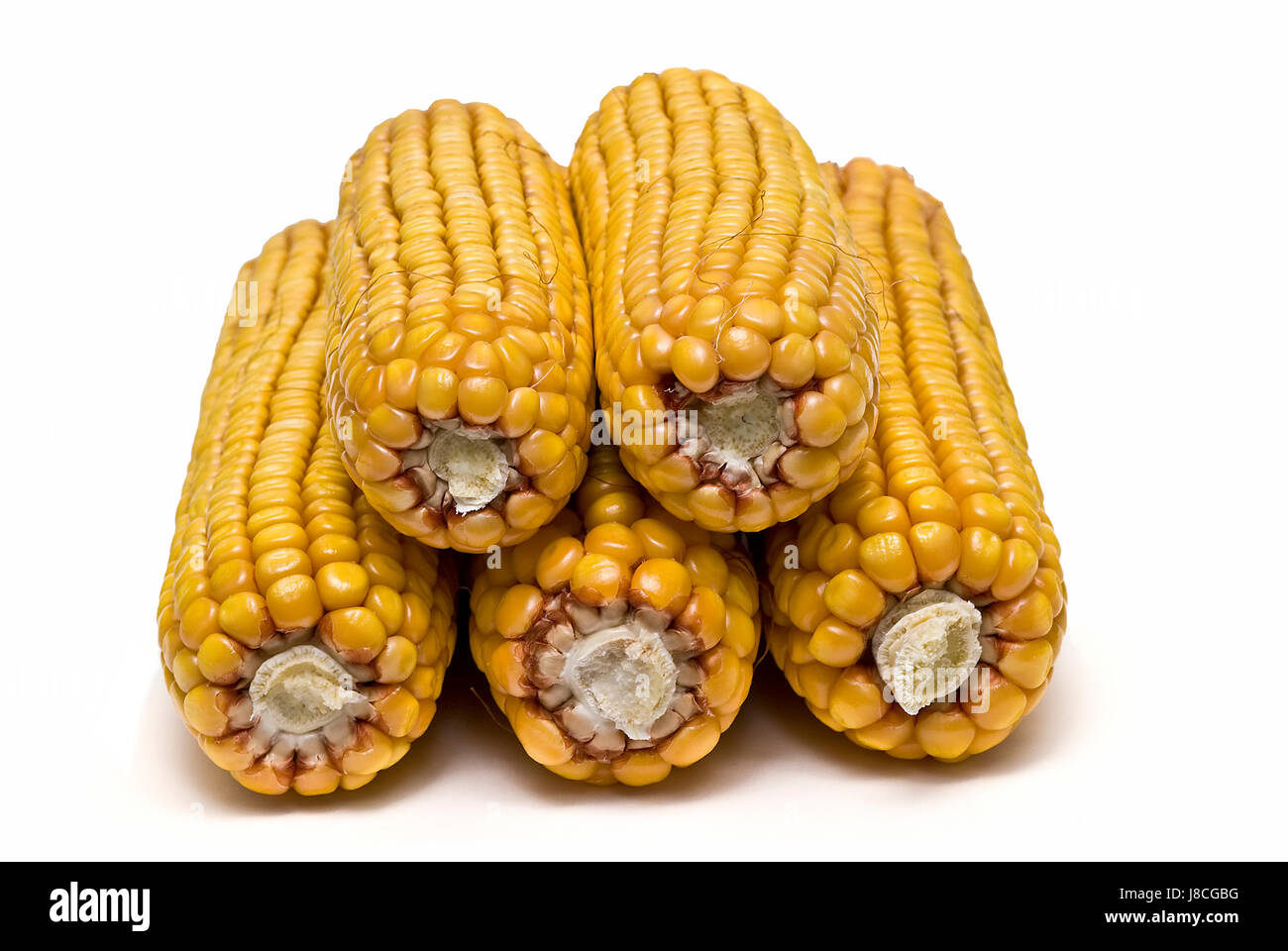 Harvesting maize Cut Out Stock Images & Pictures - Alamy