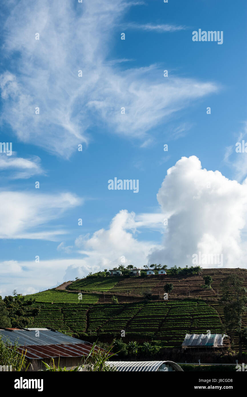 Beautiful natural in Mon Cham (Mon Jam) mountain, Mae Rim, famous ...