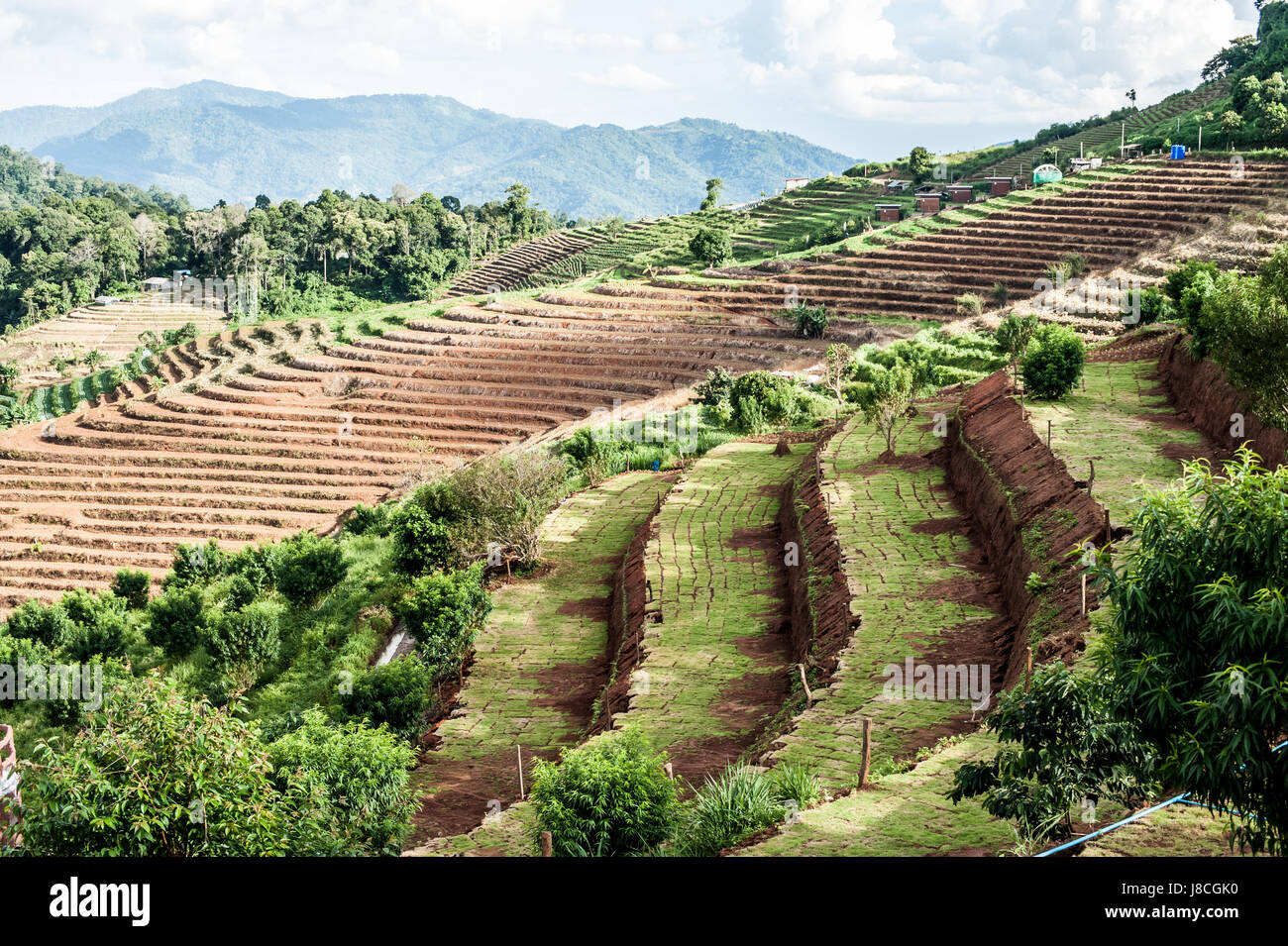 Beautiful natural in Mon Cham (Mon Jam) mountain, Mae Rim, famous ...