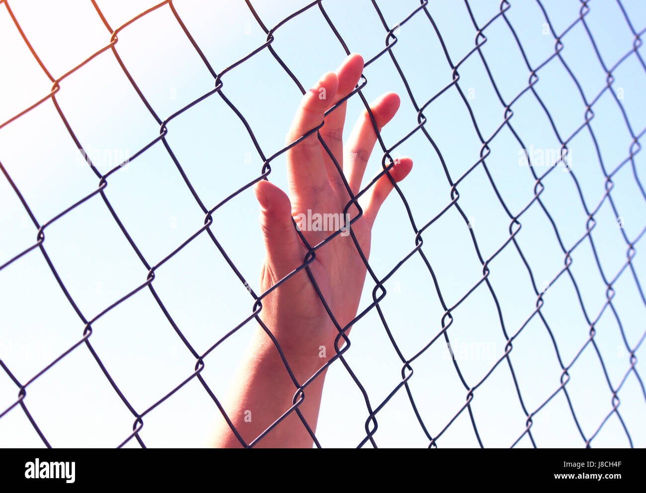 Hand holding fence Stock Photo - Alamy