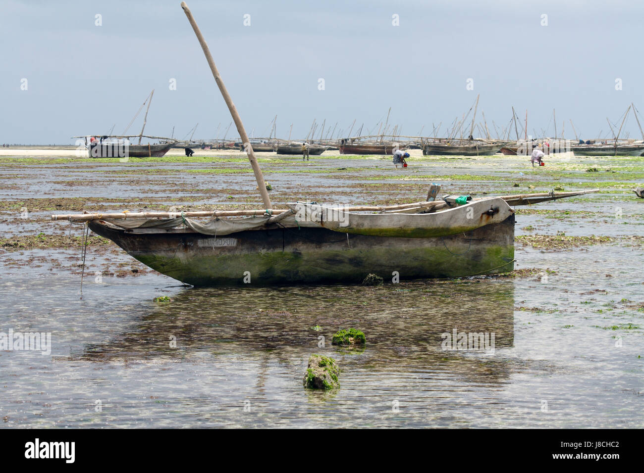 africa, sail, boat, zanzibar, rowing boat, sailing boat, sailboat ...
