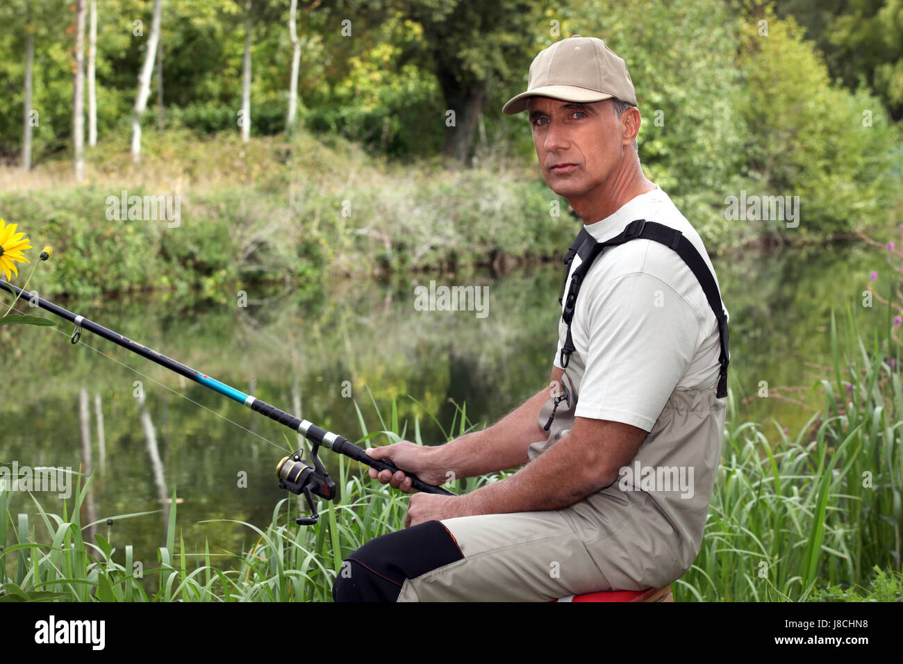 bushes, active, flush, cast, catching, activity, content, contents ...