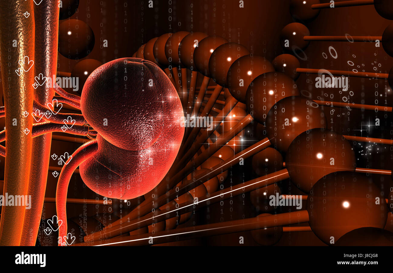 education, medicinally, medical, graphics, colour, science ...