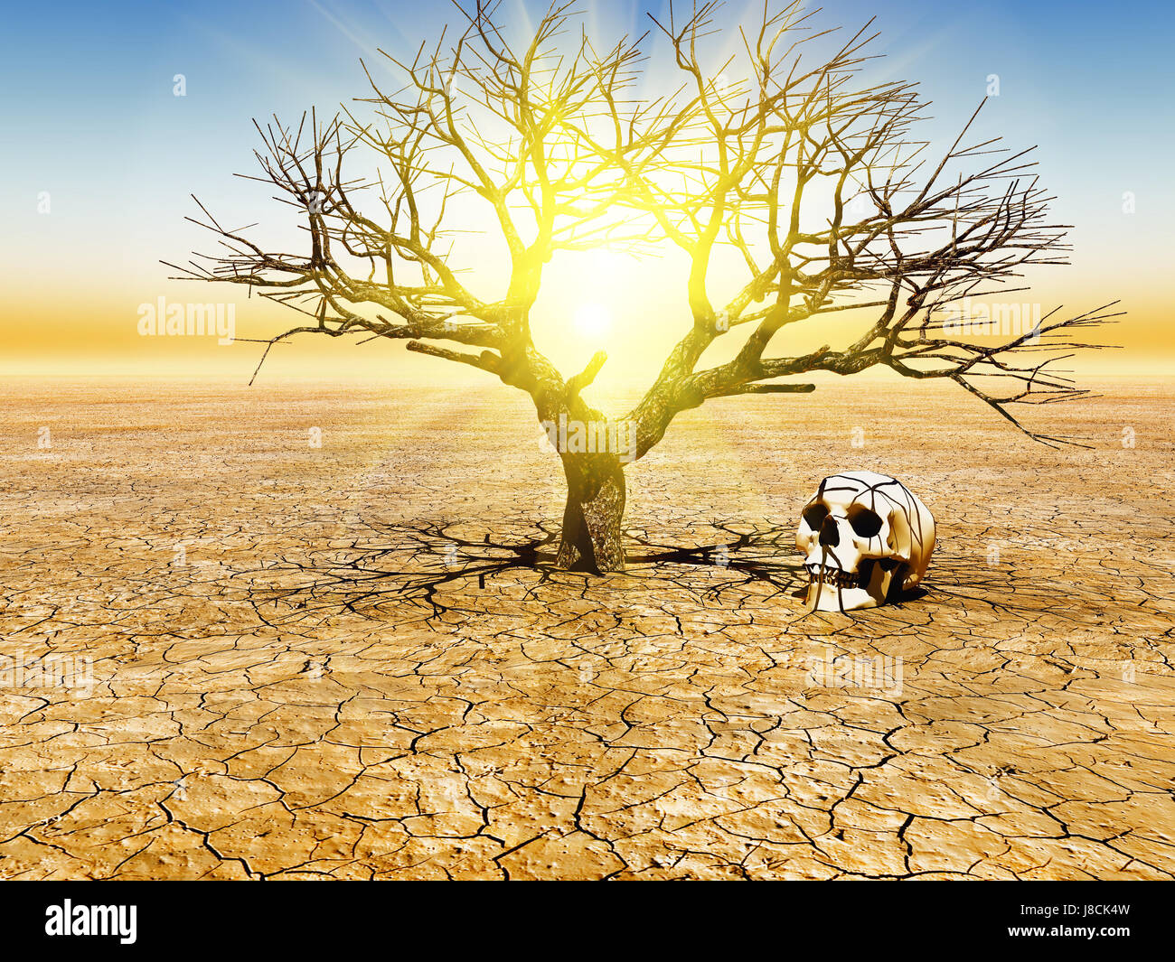 Dried skull hi-res stock photography and images - Alamy