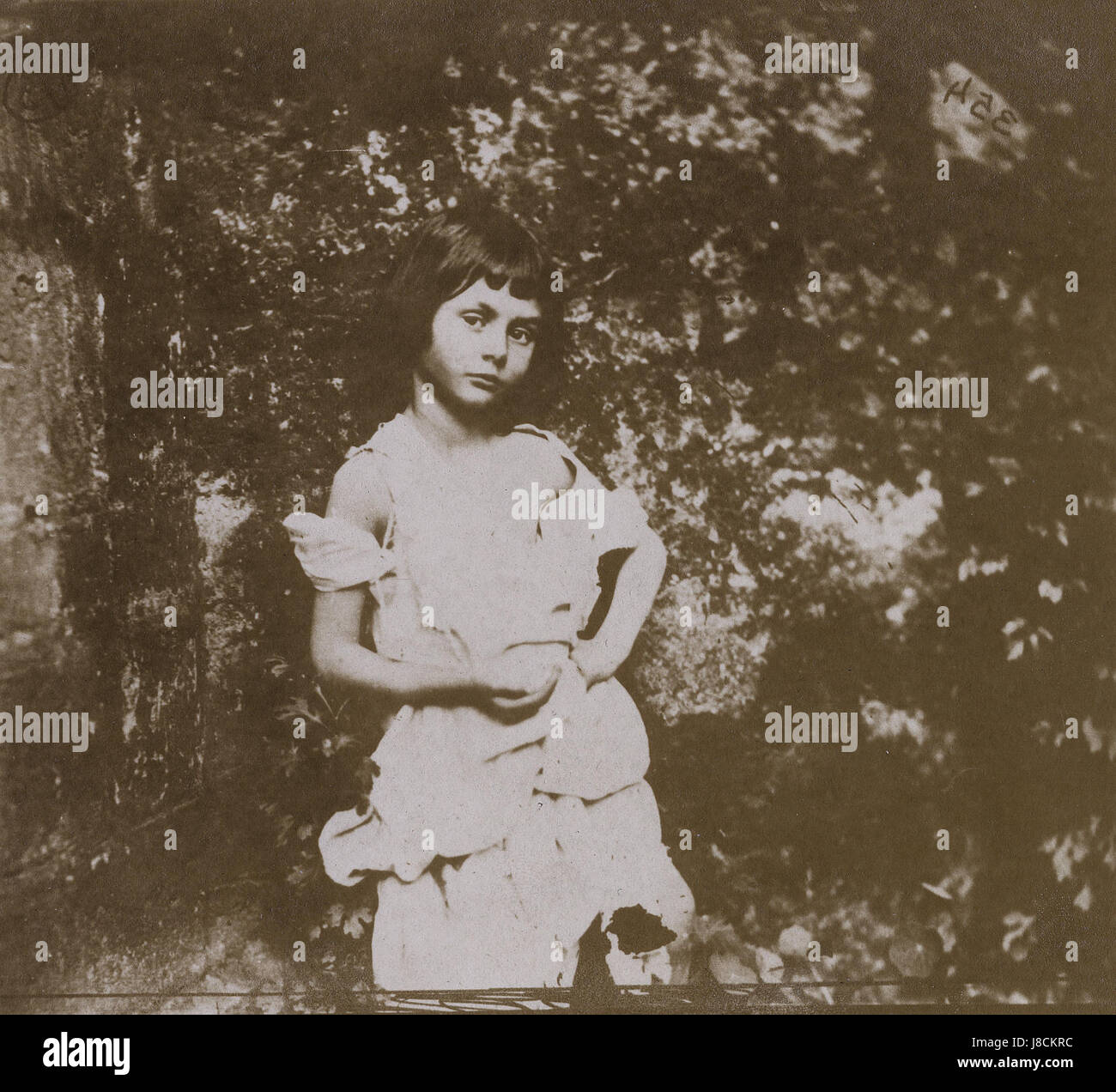 Lewis carroll alice liddell hi-res stock photography and images - Alamy