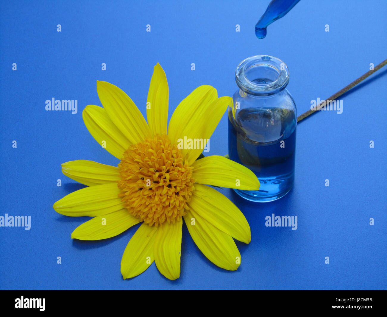blue, flower, sunflower, plant, chemistry, pharma, pipette, oil, oils ...