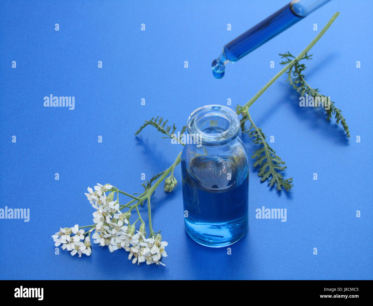 cure, means, agent, medicine, drug, remedy, substance, medicin, yarrow ...