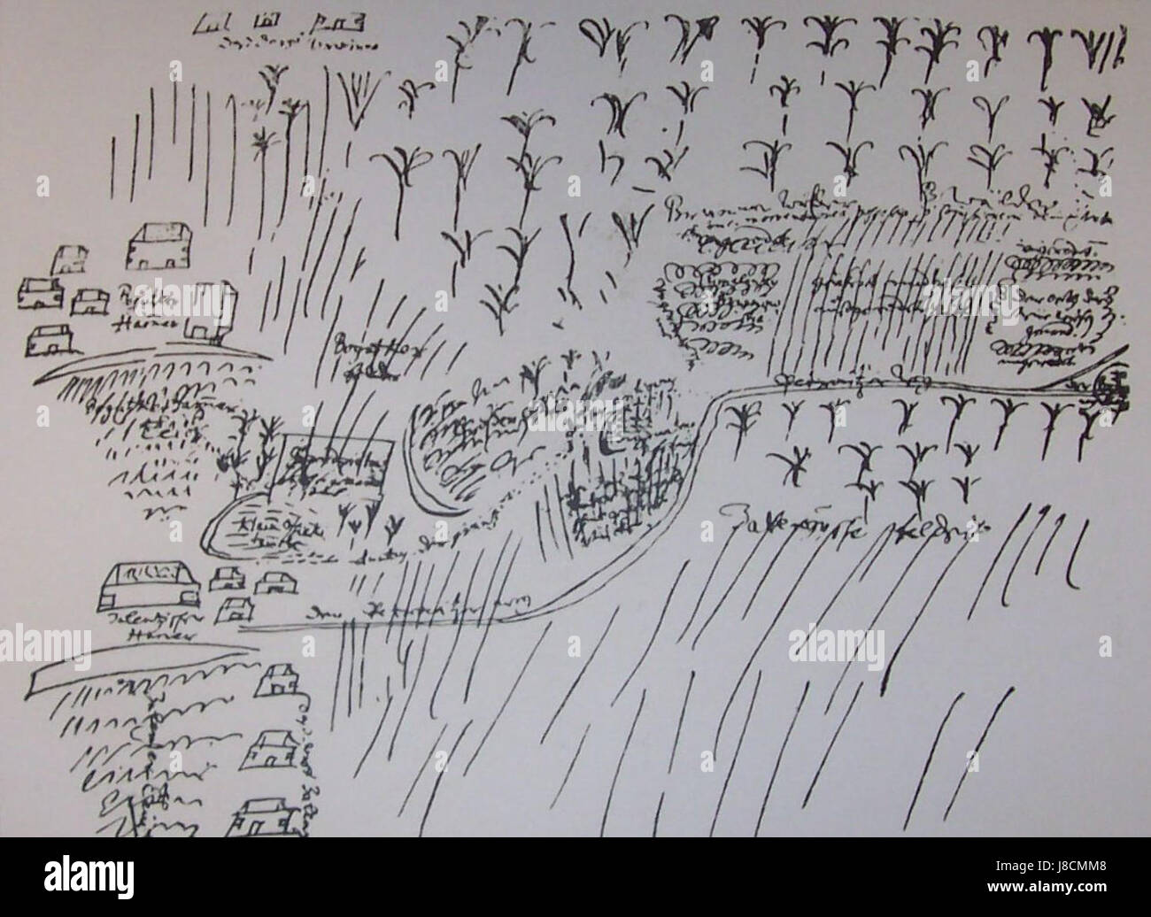 Map of Katowice, 1686 Stock Photo - Alamy