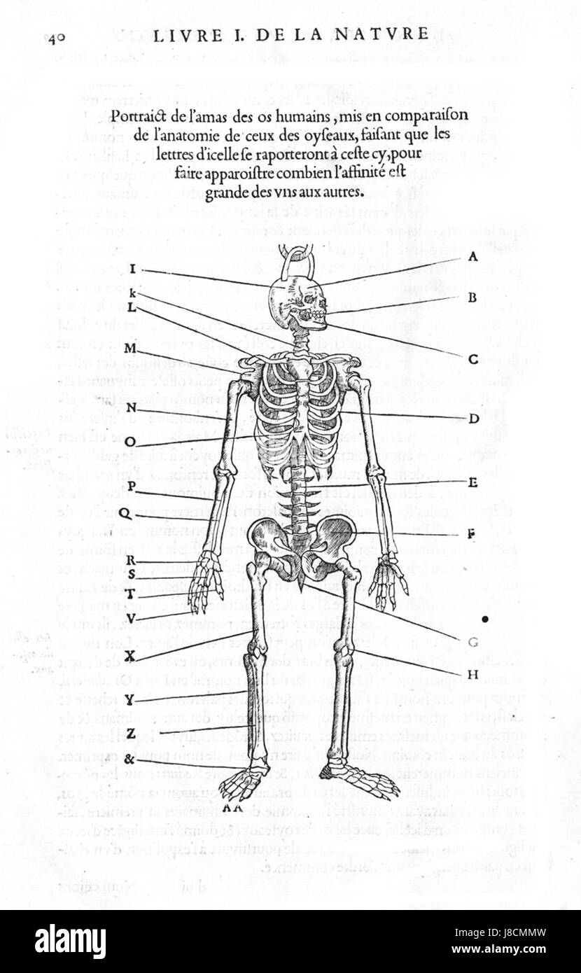 Man Belon was a notable historical figure, likely a scholar, traveler ...