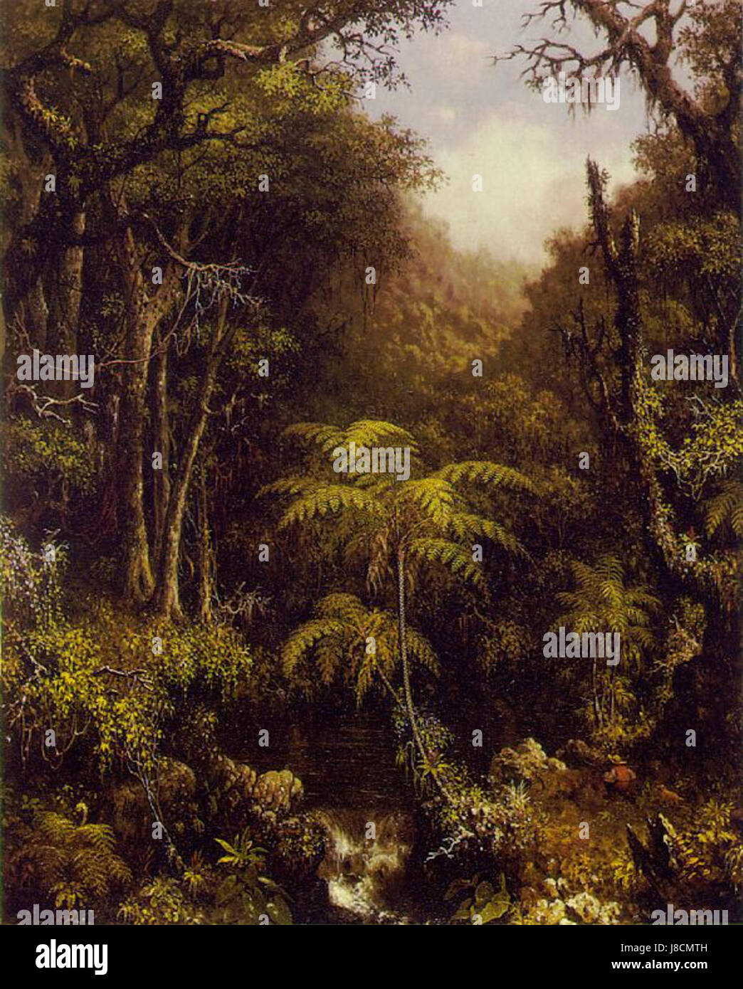 Martin Johnson Heade Brazilian Forest ATC Stock Photo - Alamy