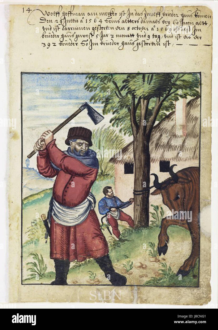 This title likely refers to a scientific work or study by Gregor Mendel ...