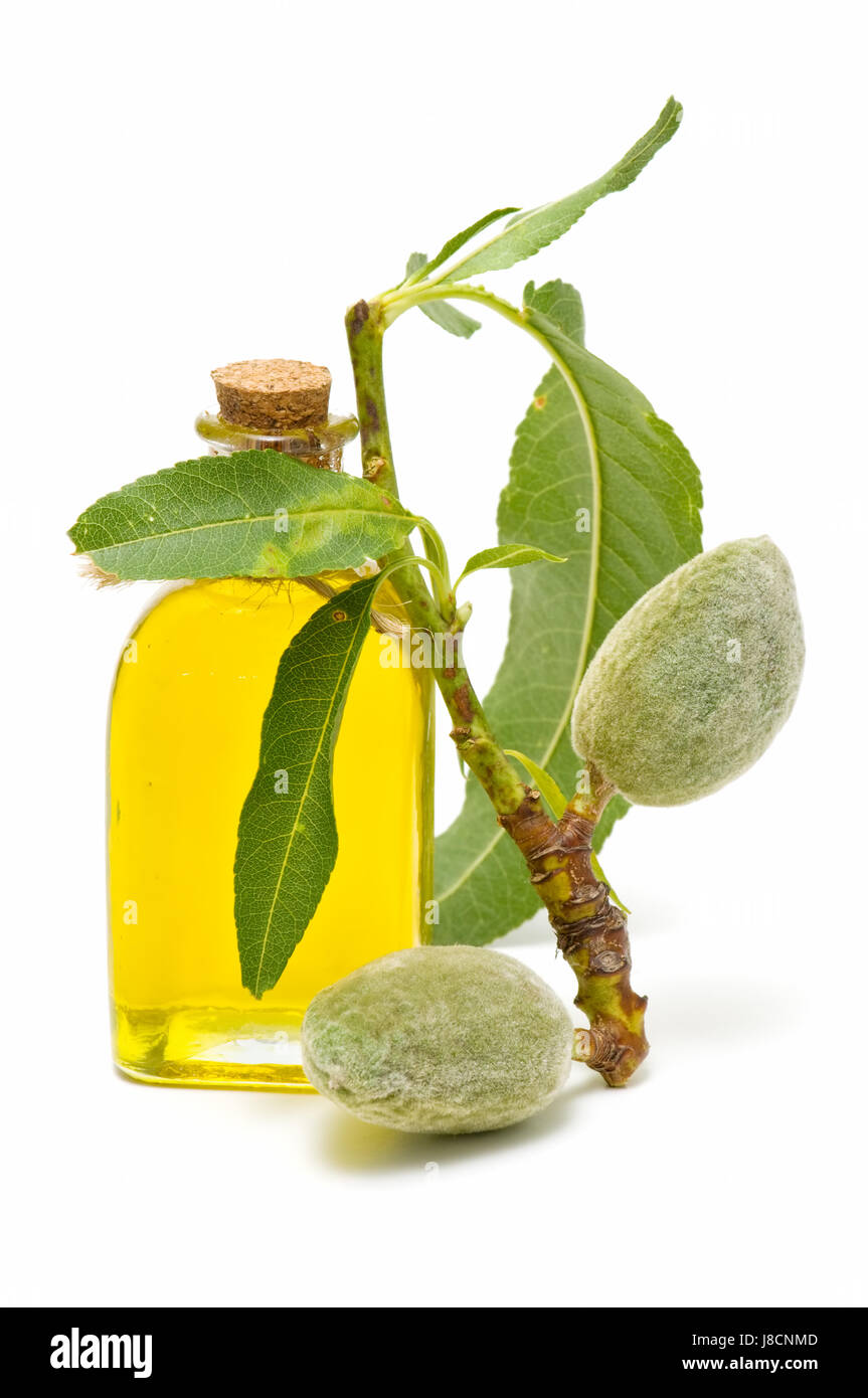 olive oil, almond oil, oil, almonds, tonsils, food, aliment, health ...